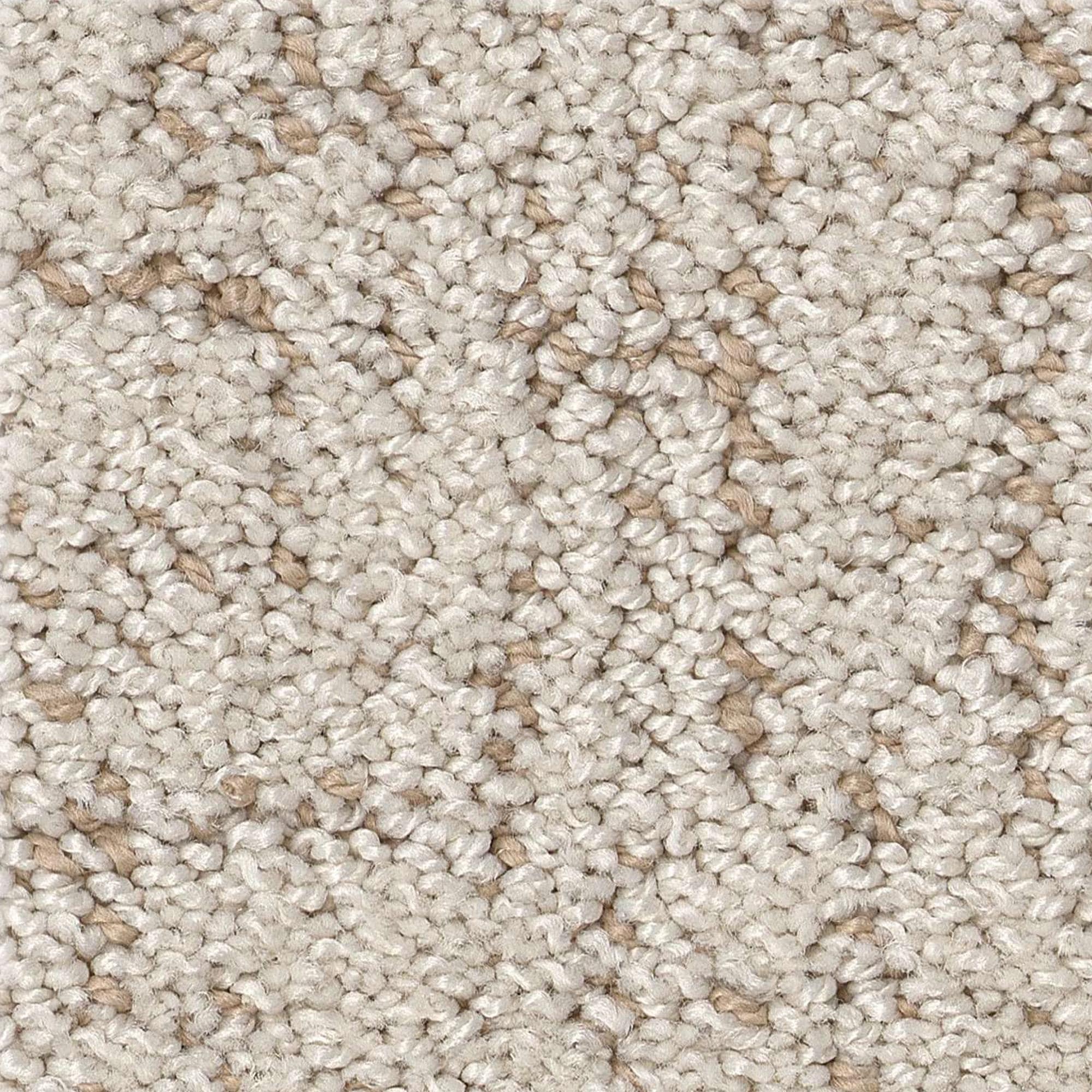 Shaw Run Free Carpet in Natural