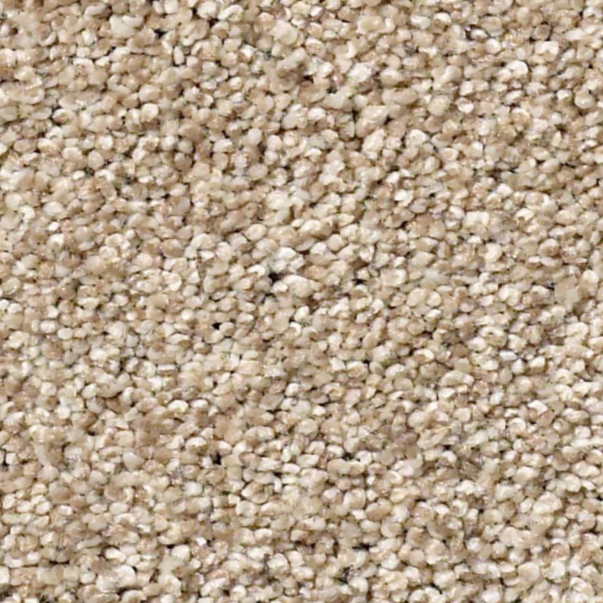 Philadelphia Tonal Comfort Ii Carpet in Walk On The Beach | Shop NFM