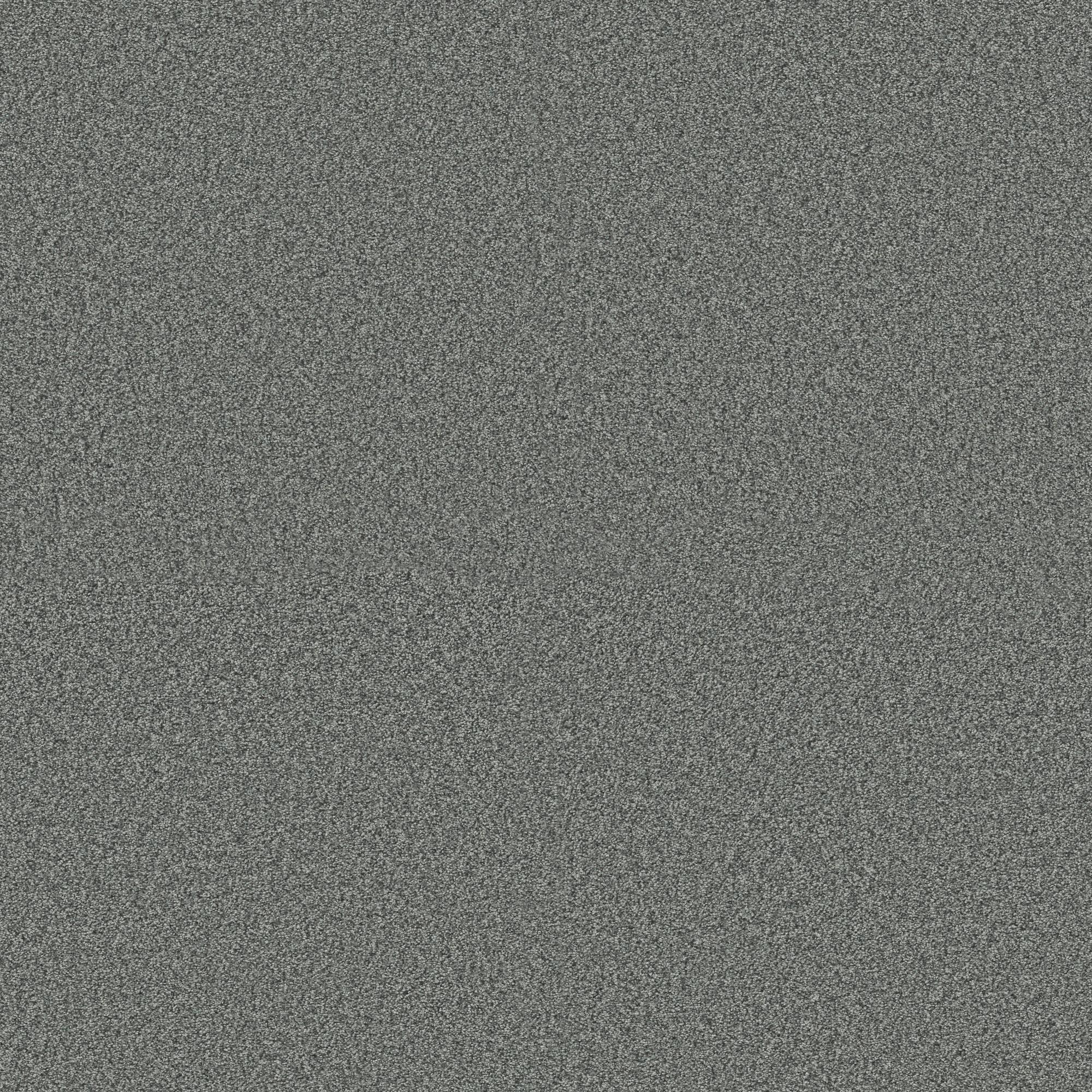 Shaw Tonal Comfort II Carpet in Lighthouse Shadows