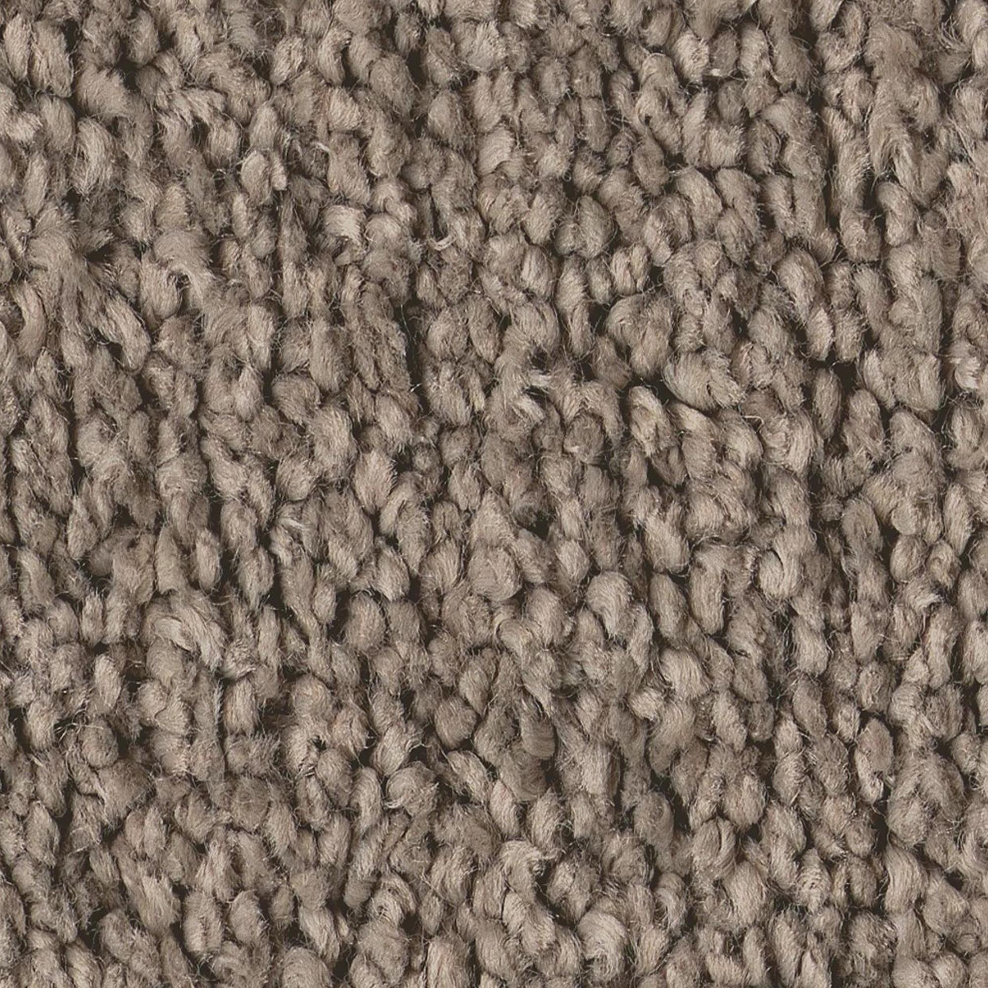 Shaw Posh Life Carpet in Cobblestone | NFM
