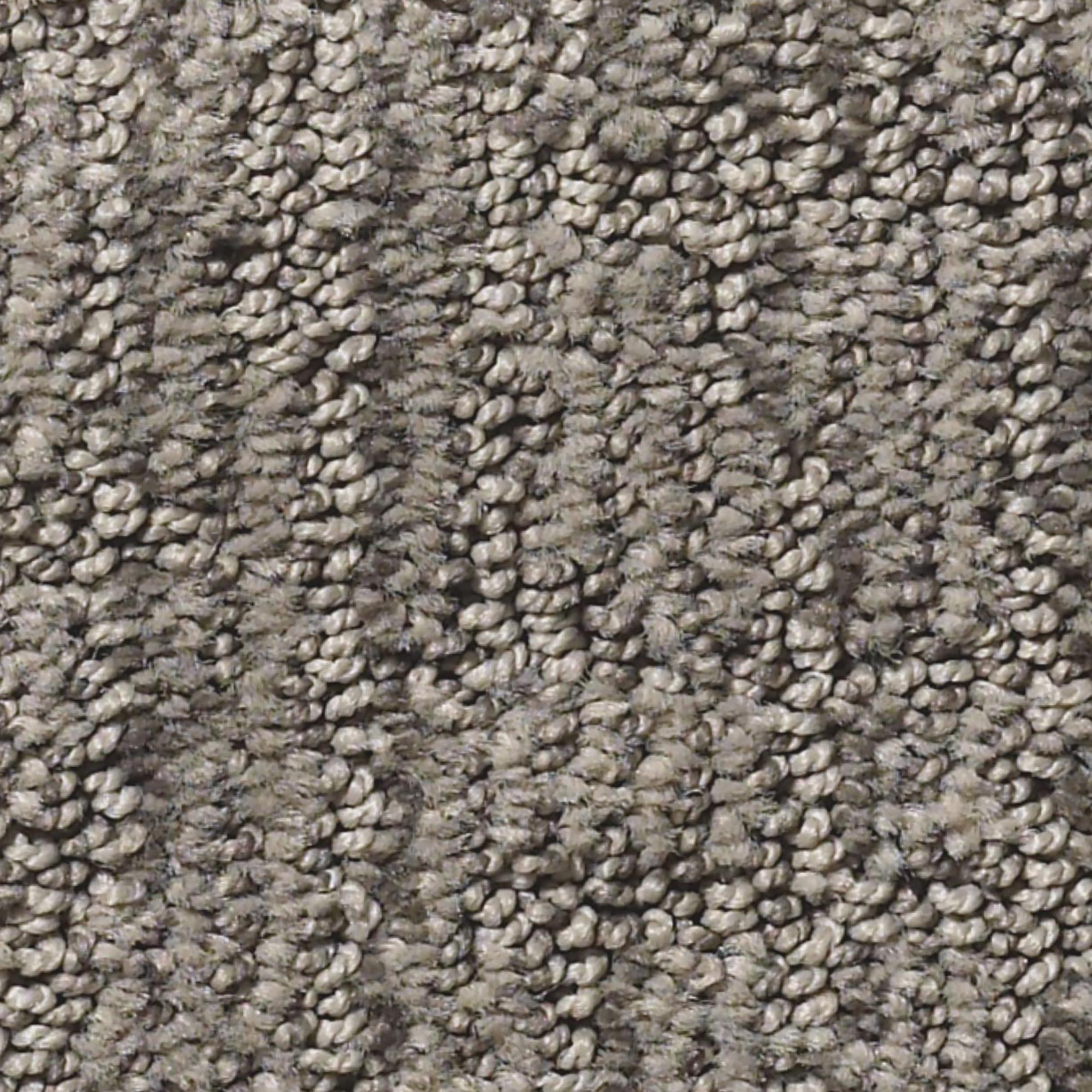 Shaw Wanderer Carpet in Sharkskin