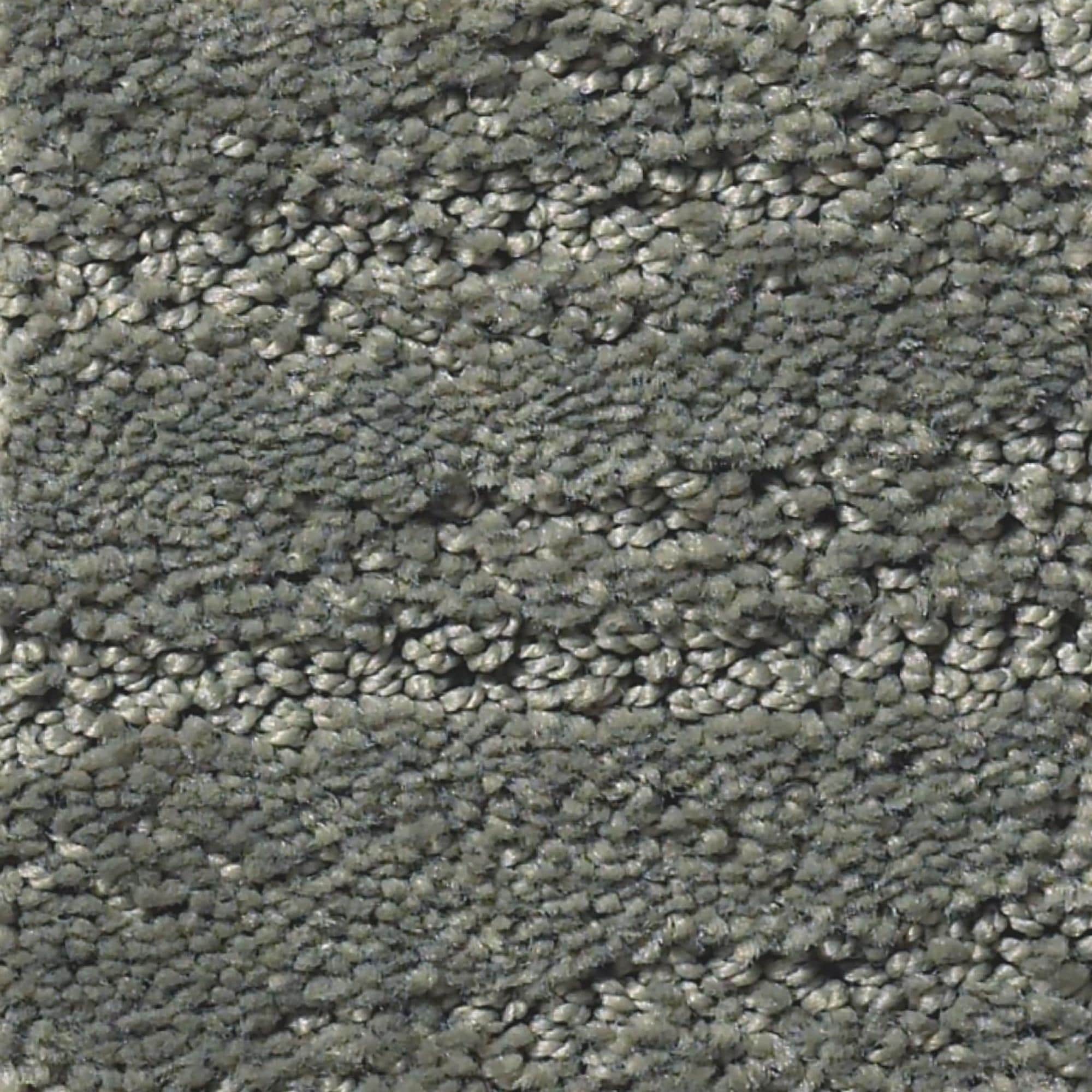 Anderson Tuftex Matisse Carpet in Wonder