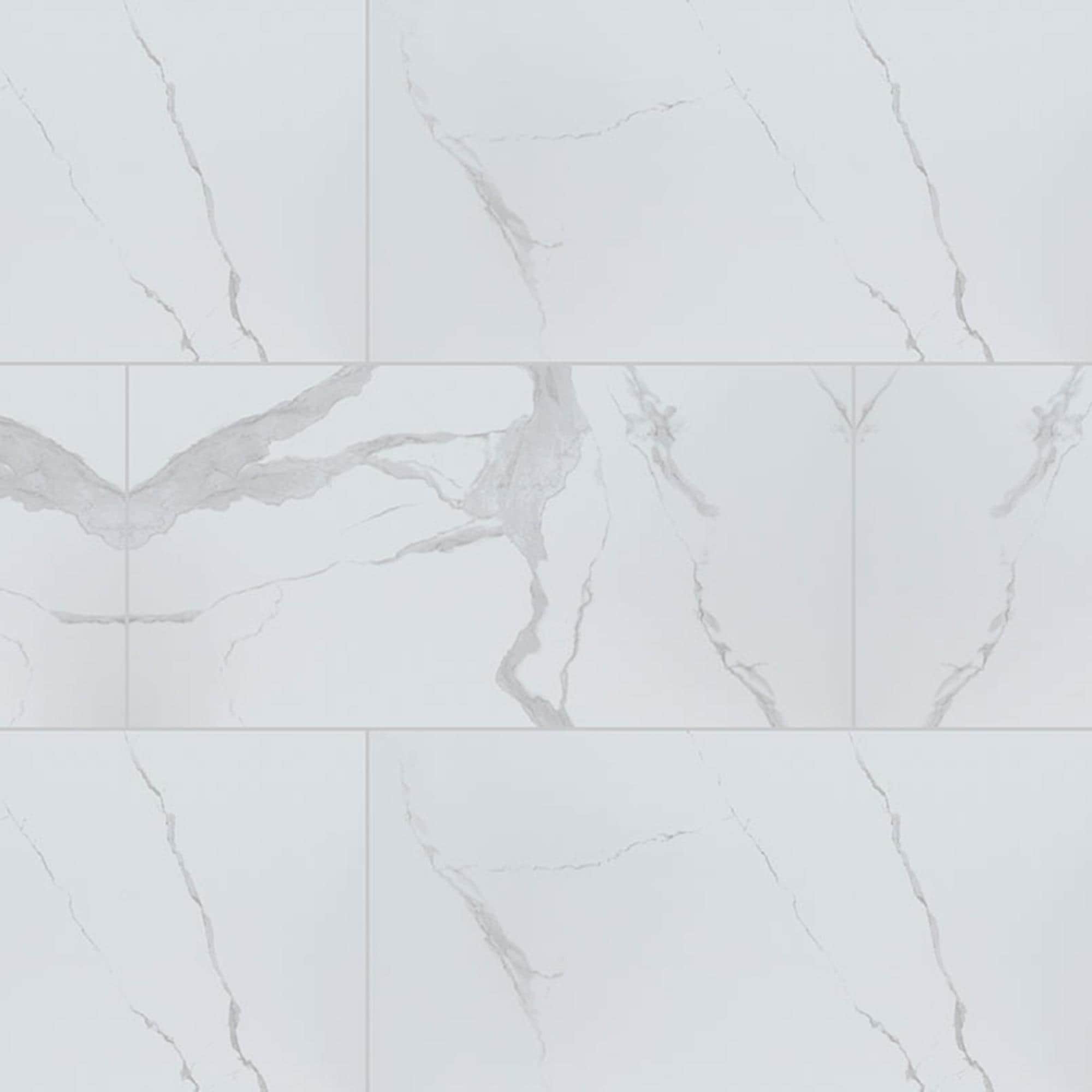 MS International Eden Statuary 12" x 24" Polished Porcelain Tile