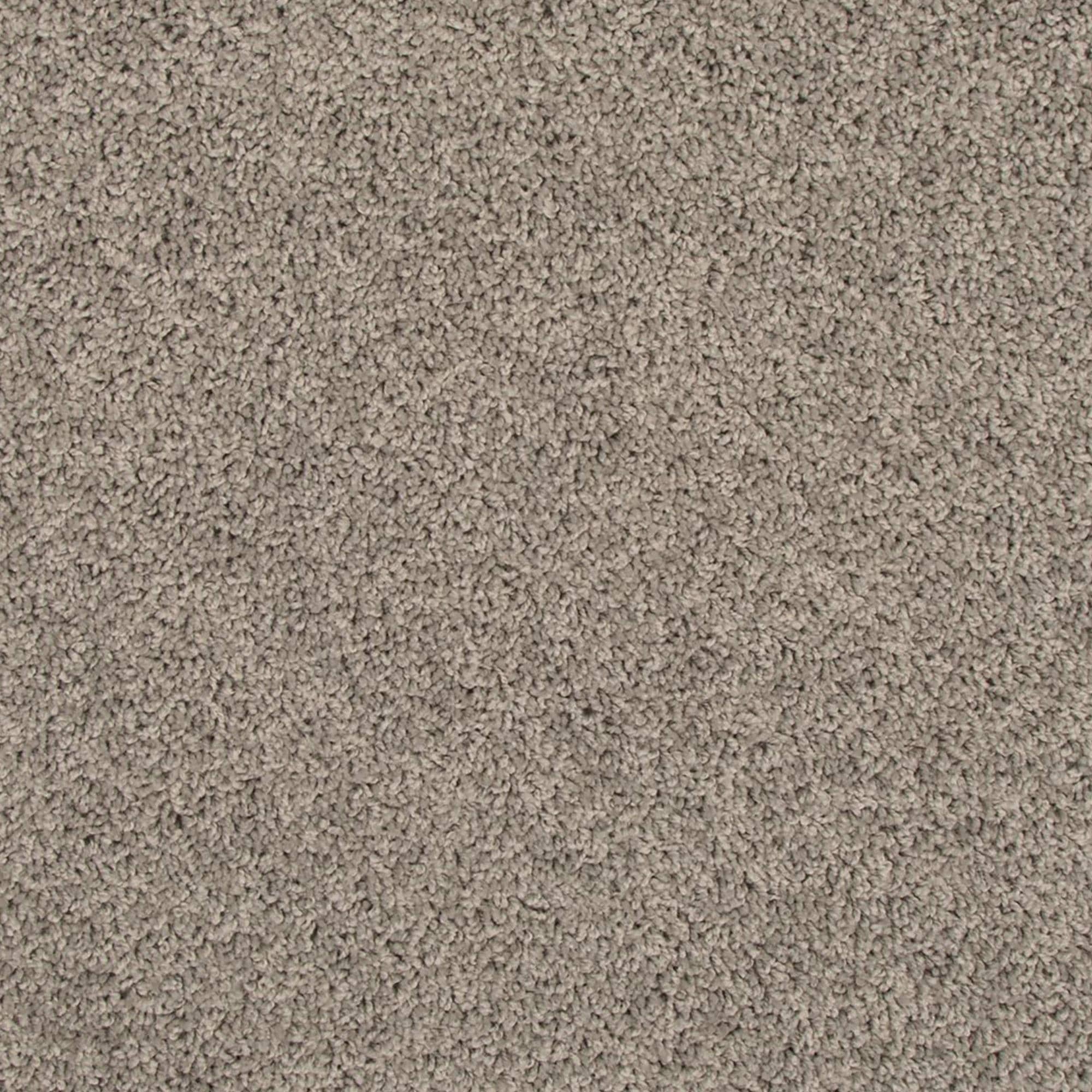 Mohawk Revive Carpet in Winter Ash