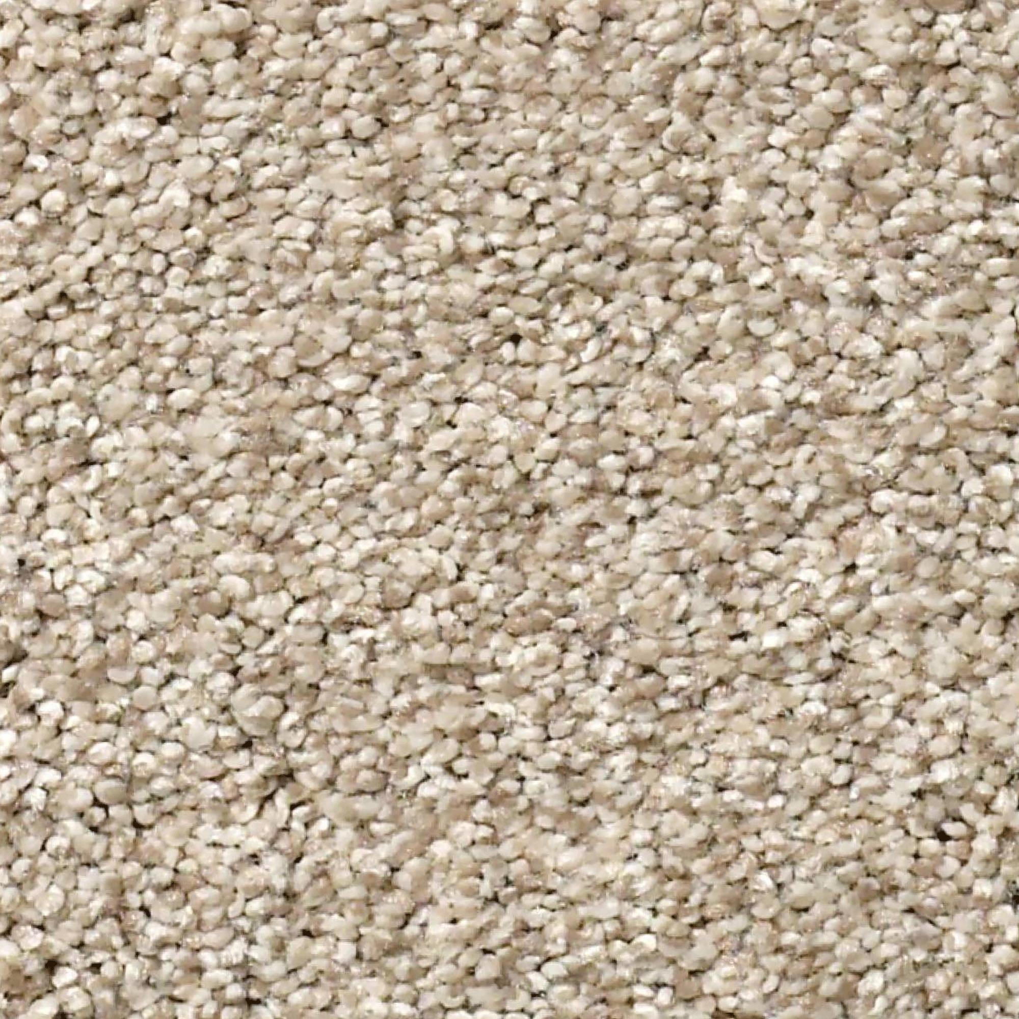 Shaw Tonal Comfort I Carpet in My Haven