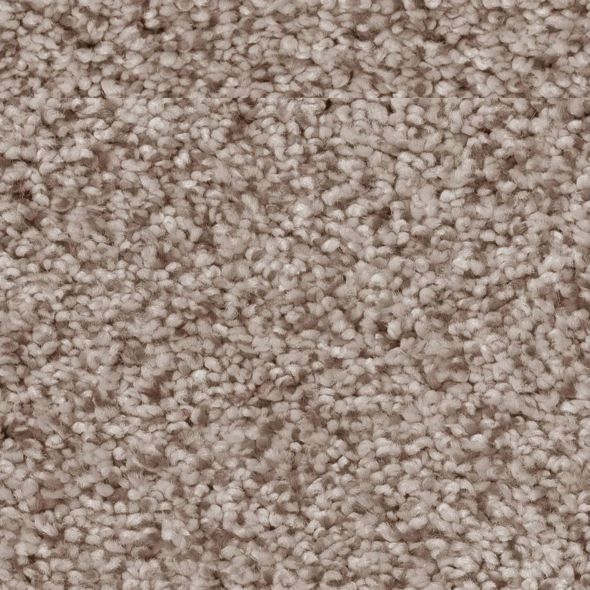 Anderson Tuftex Sumptuous II Carpet in Earthen