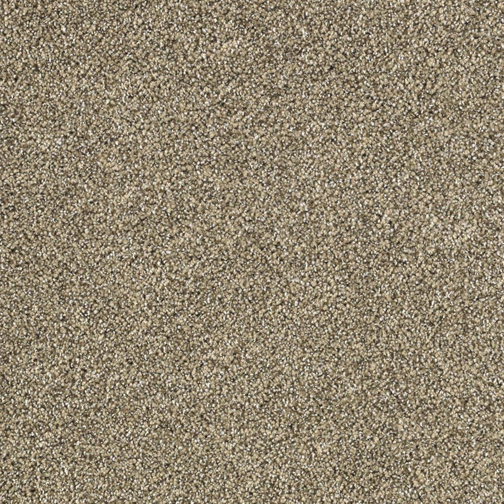 Karastan Upscale Living Carpet in Homespun