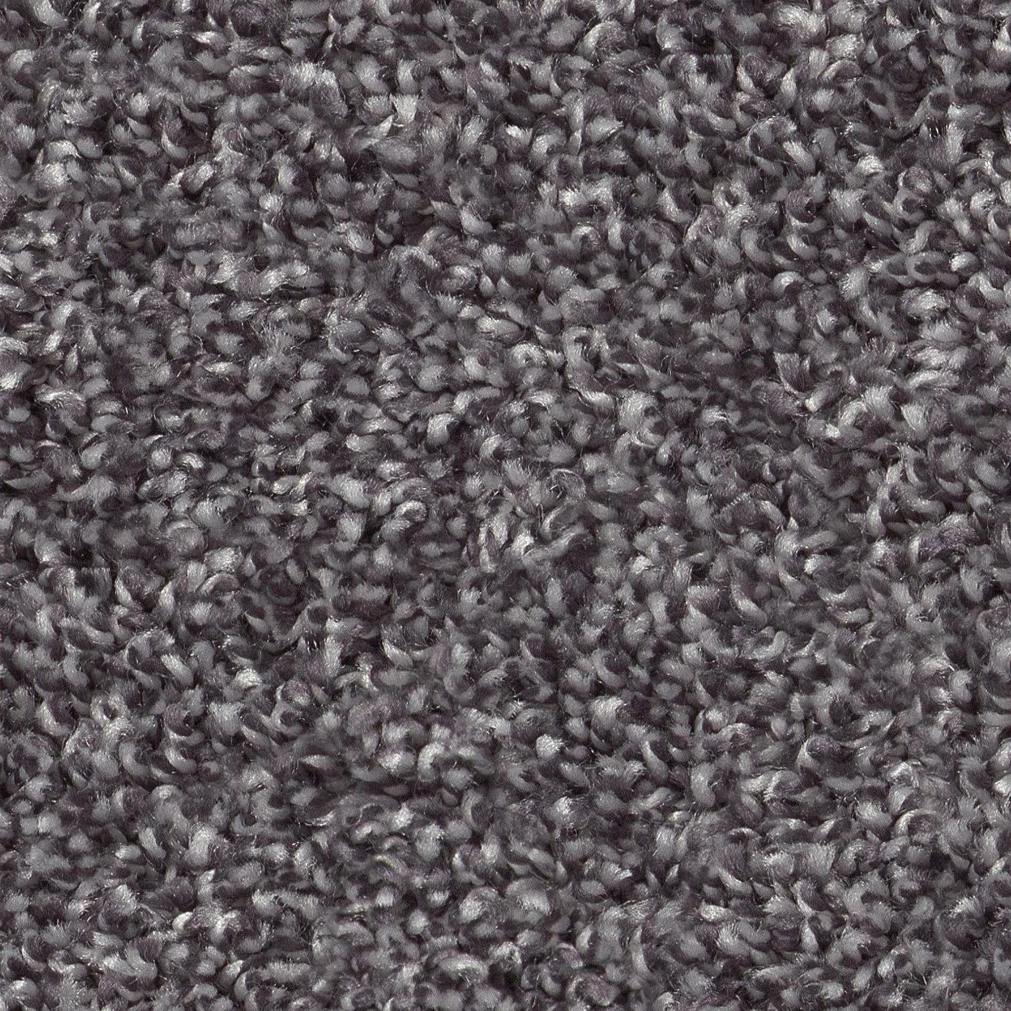 Shaw Inlet Shore II Carpet in Rod Iron