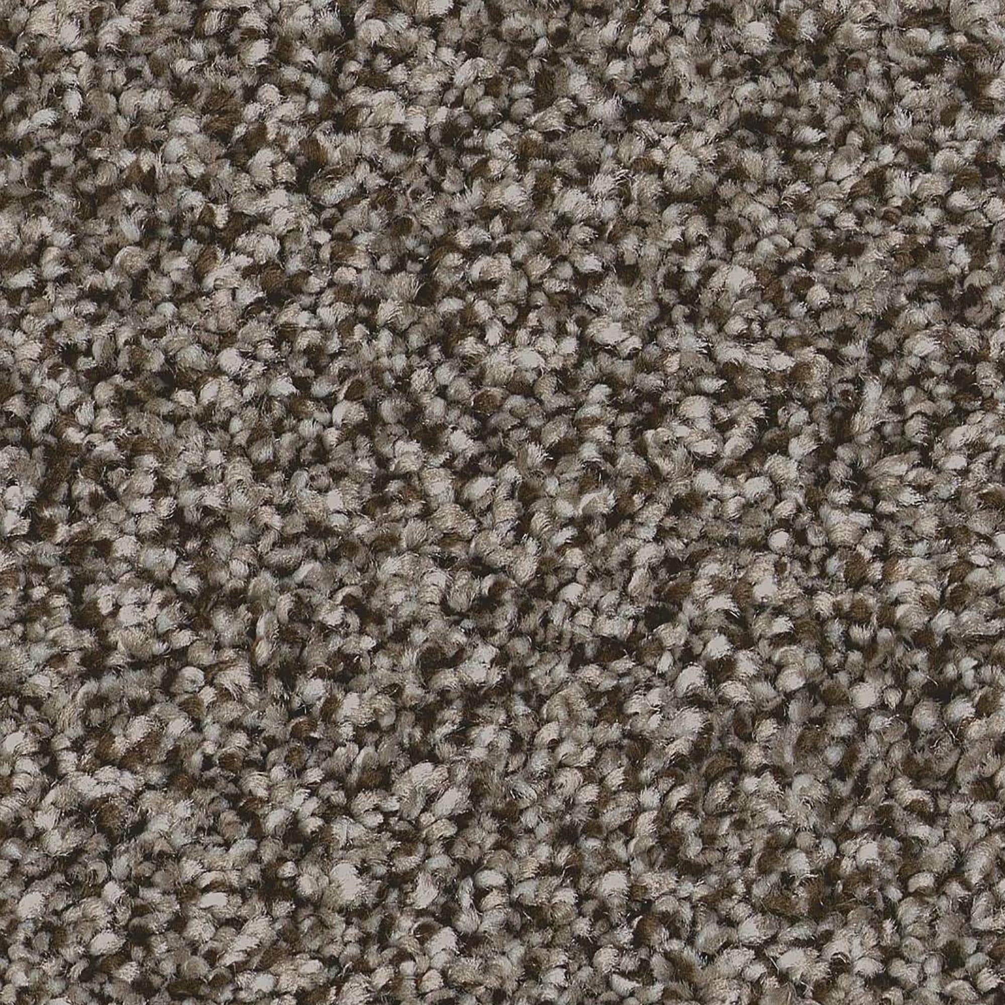 Anderson Tuftex Kaleidoscope Carpet in Trail Brown