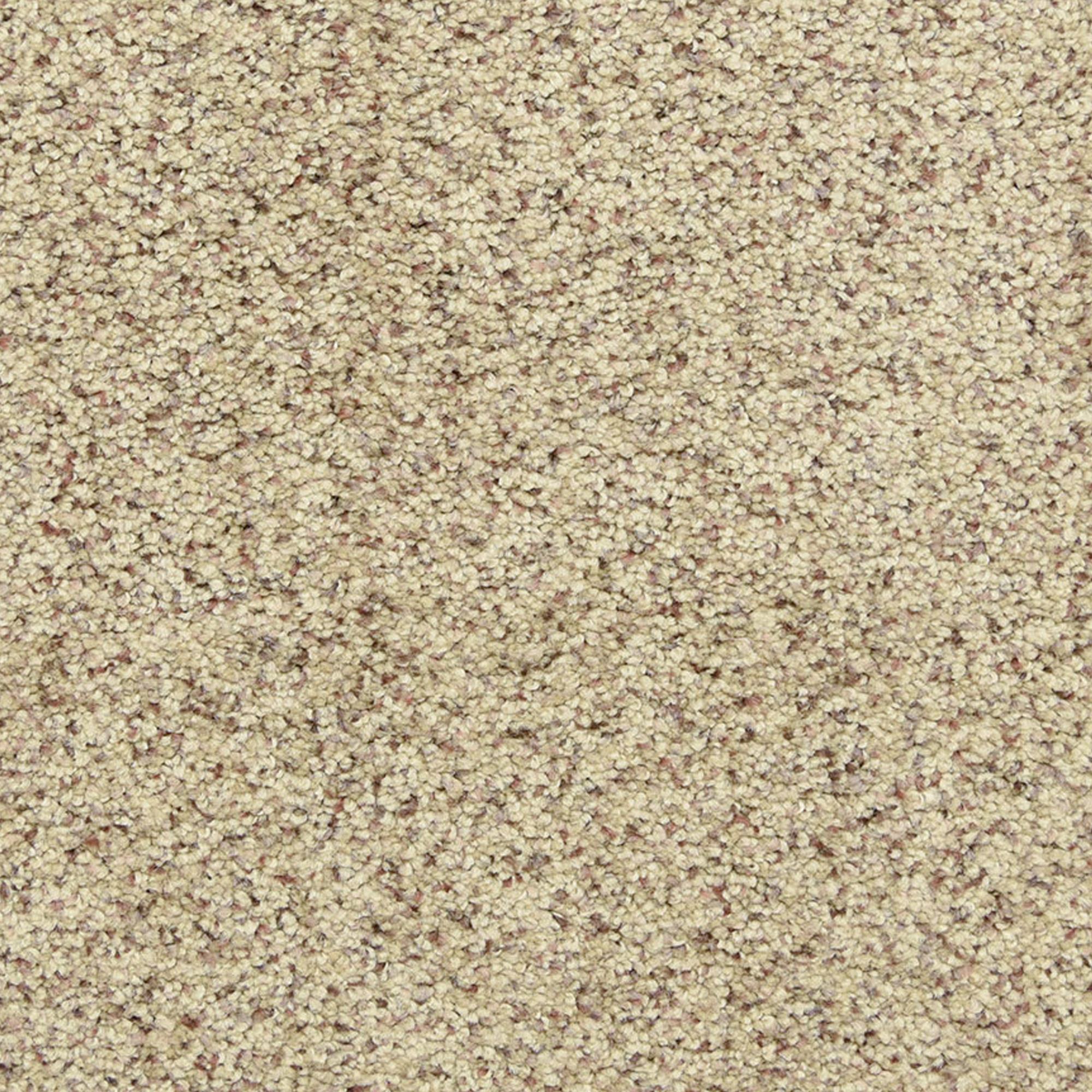 Dixie Home Simplicity Carpet in Pebble Mosaic