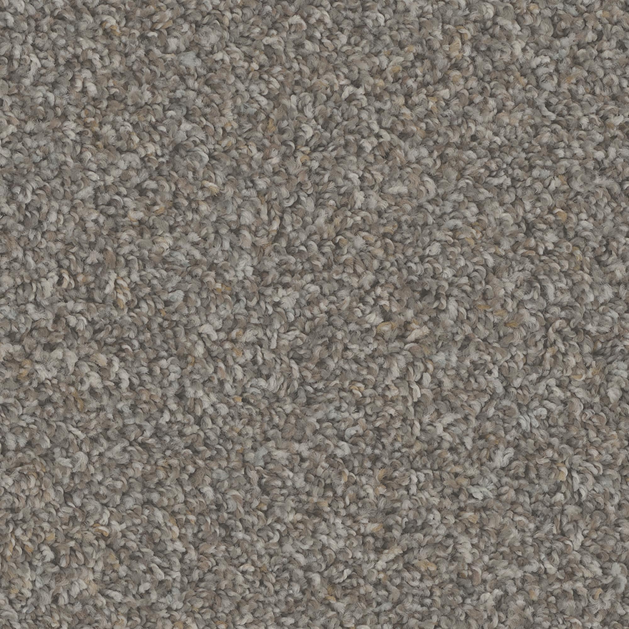 Phenix Carpet Crete Carpet in Golden Sand | Shop NFM