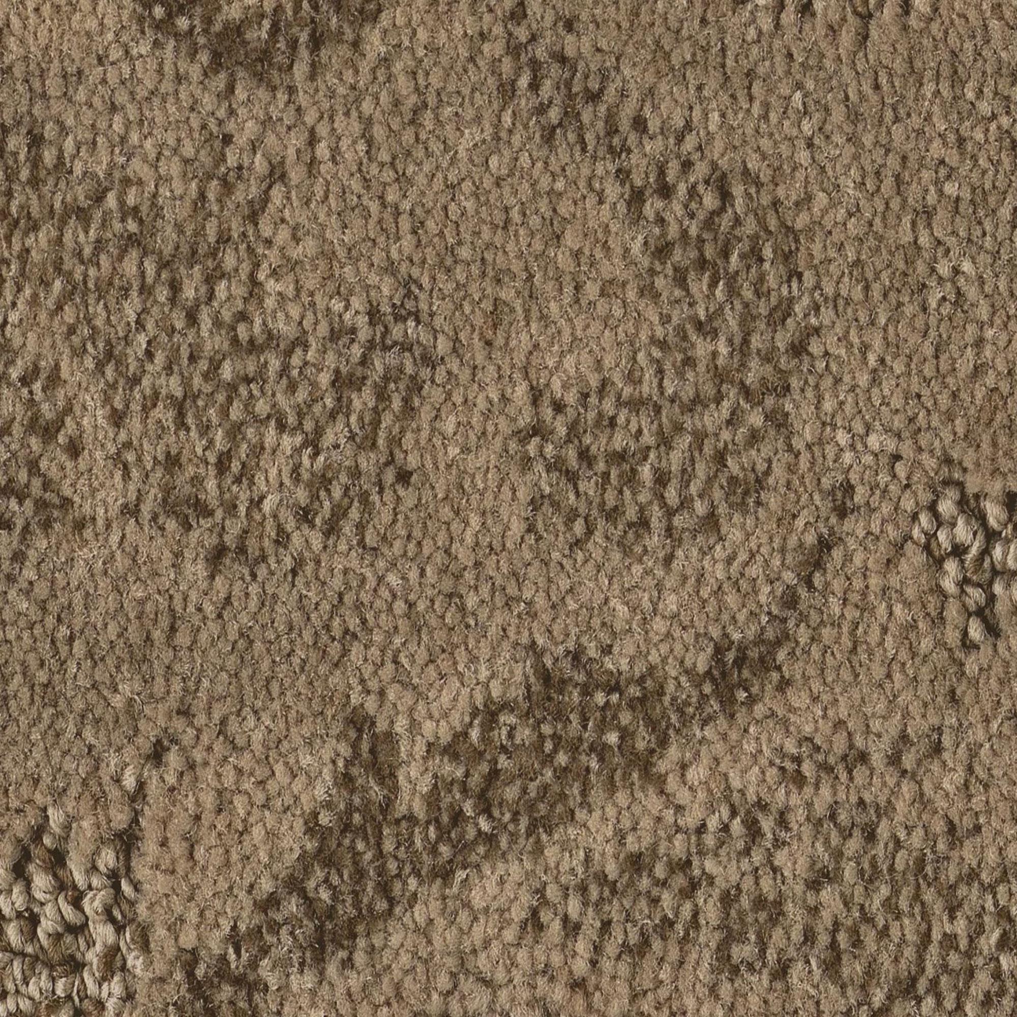 Anderson Tuftex Charismatic Carpet in Open Canyon