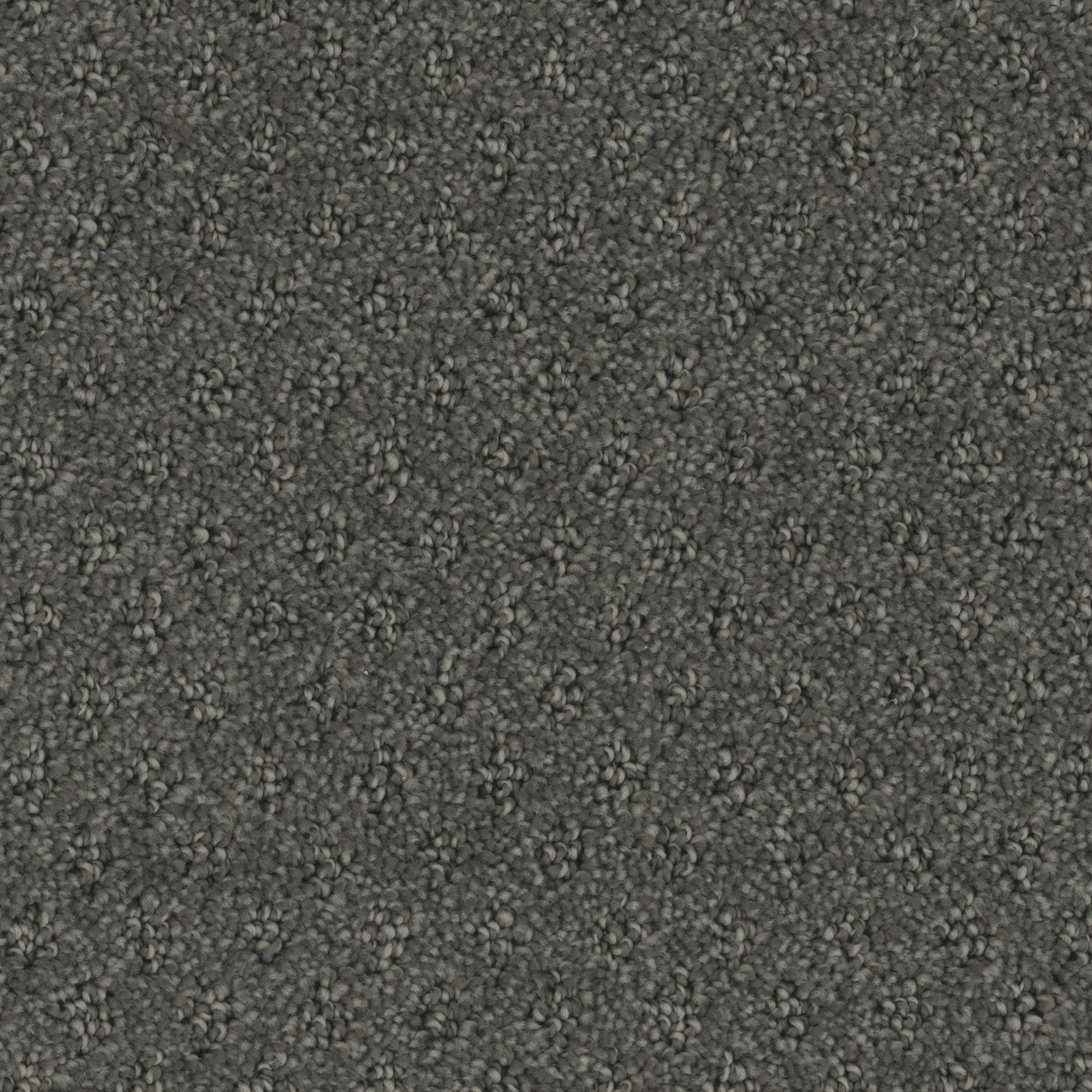 Phenix Memento Carpet in Track | NFM