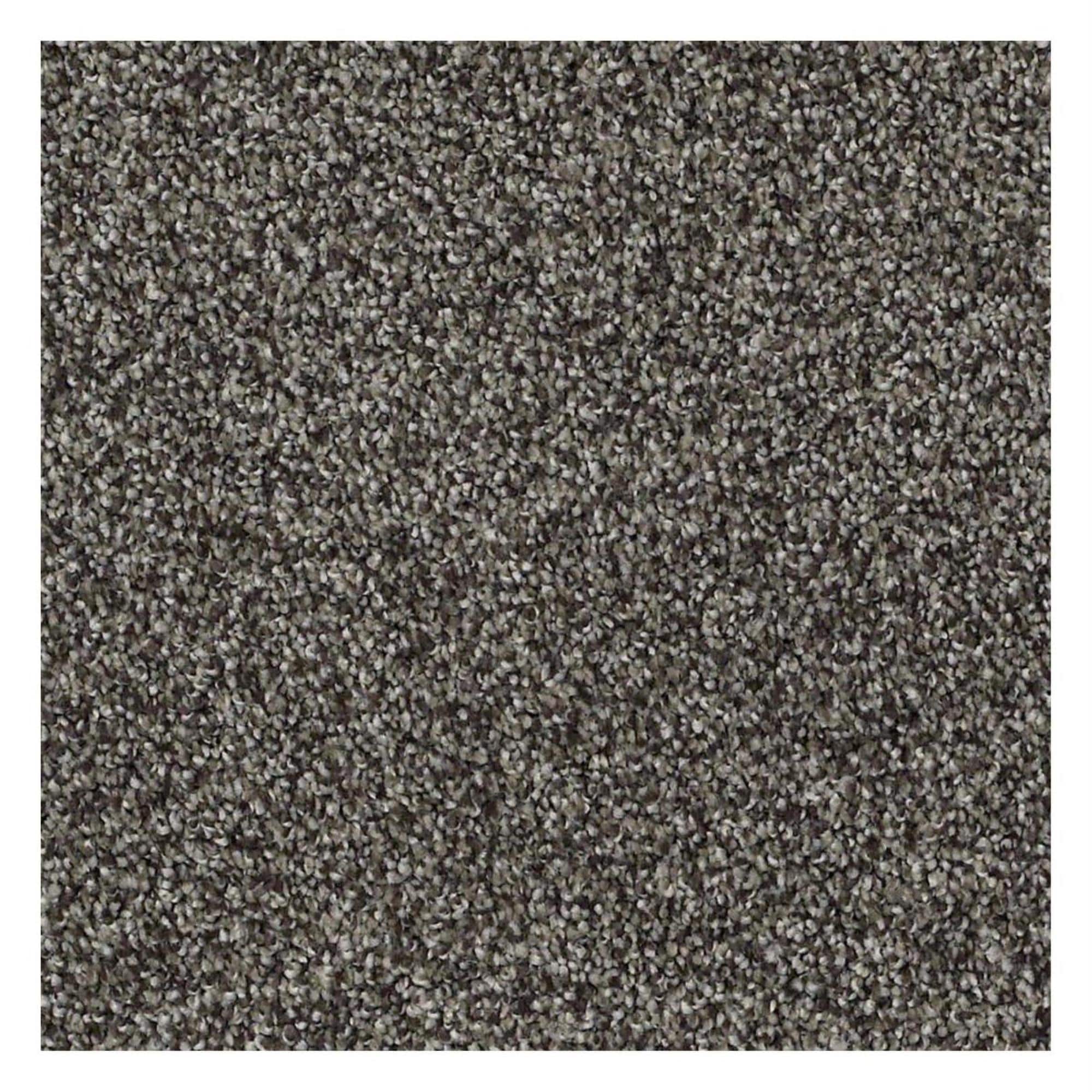 Shaw Detailed Tonal Carpet in Grey Flannel