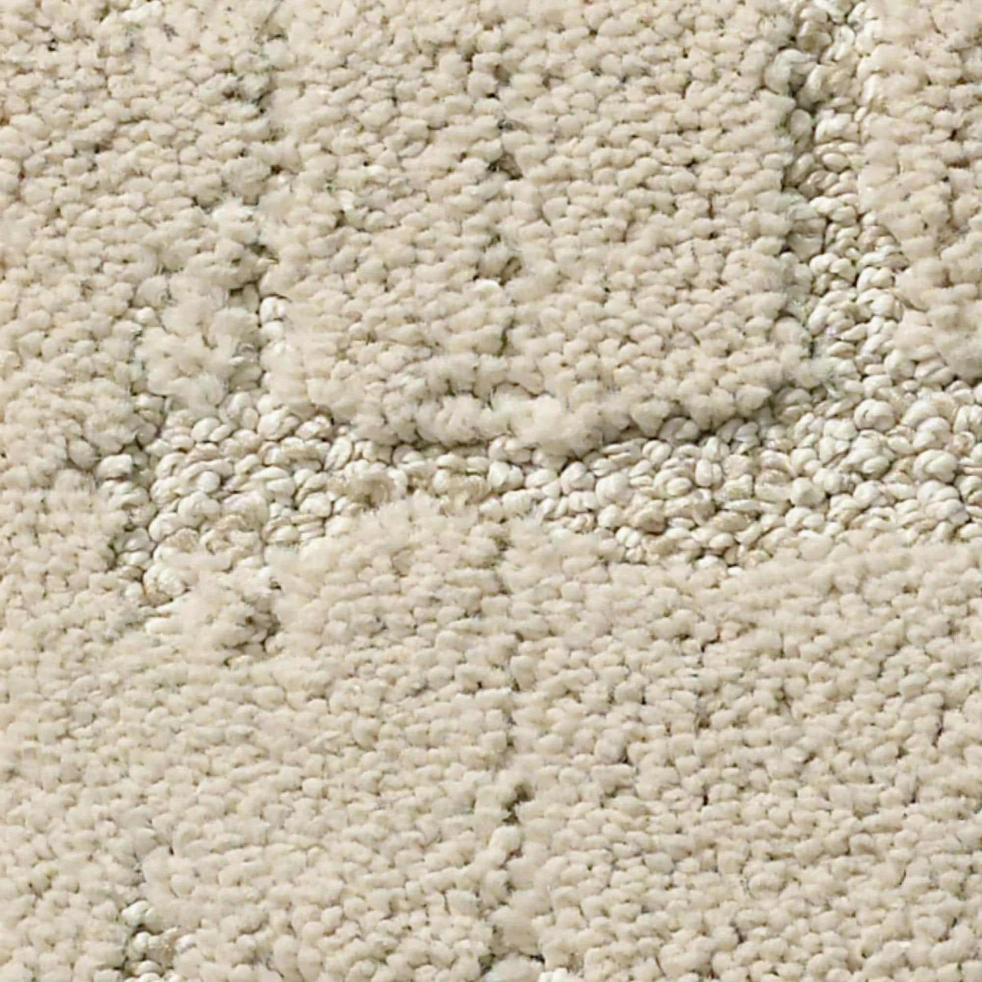 Philadelphia Caress Rustique Vibe Carpet in Clay | Shop NFM