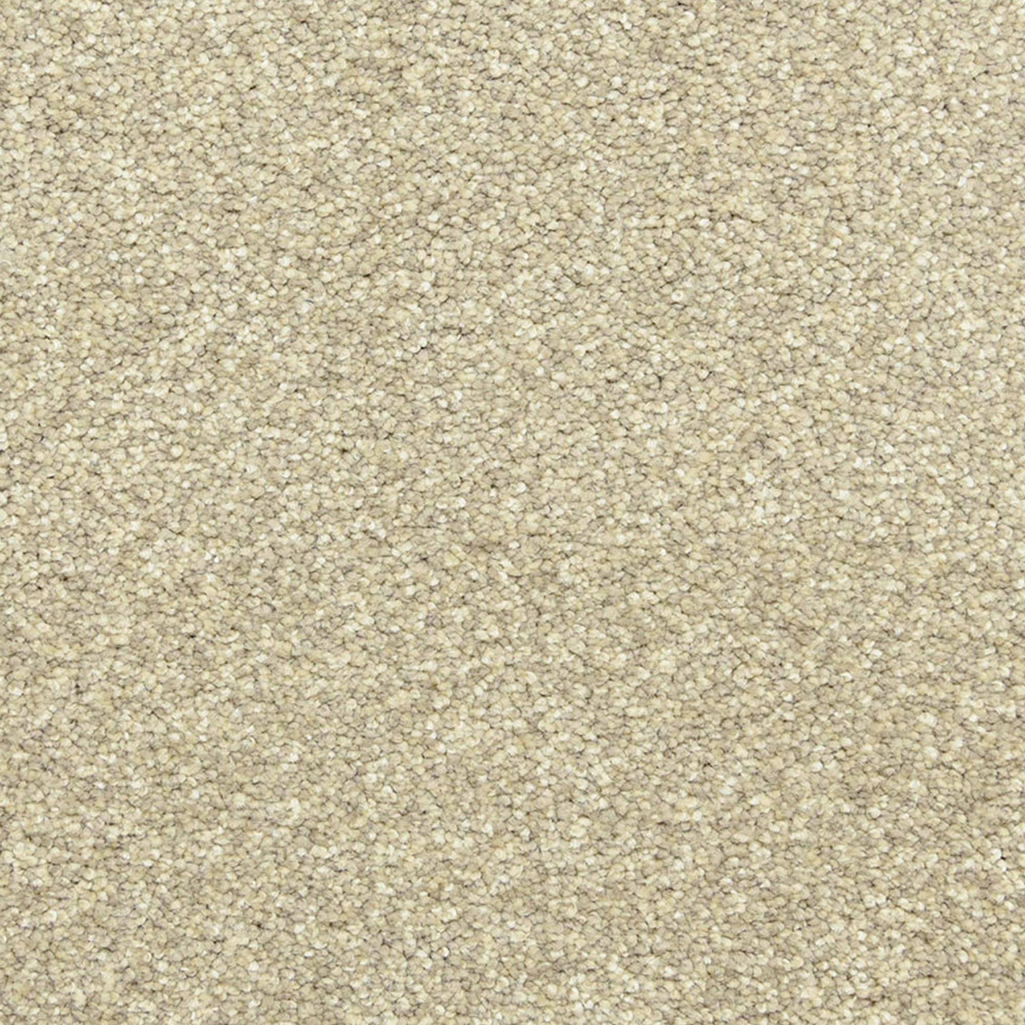 Dixie Home Simplicity Carpet in Marble