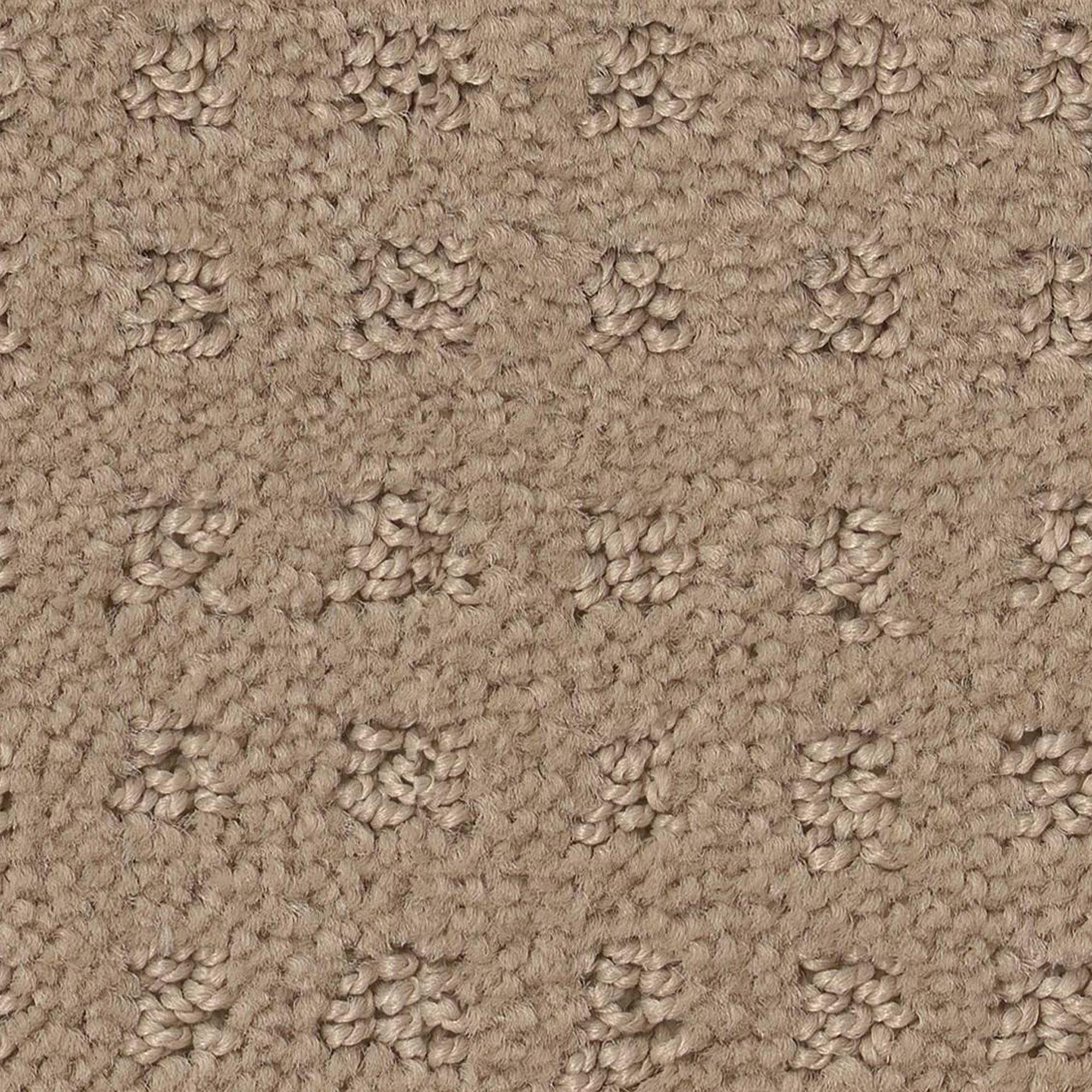 Anderson Tuftex West Coast Carpet in Beach Grass | NFM