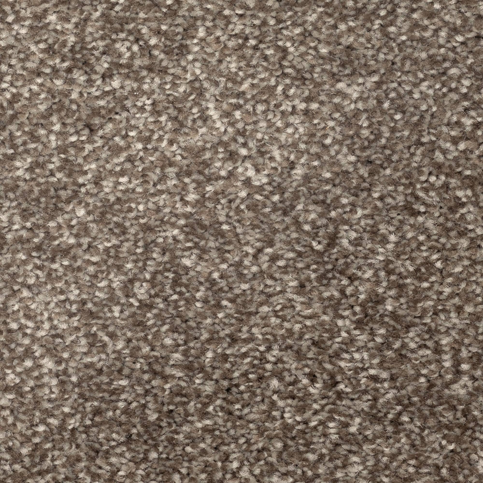 Mohawk Quality Feeling Carpet in Cascade