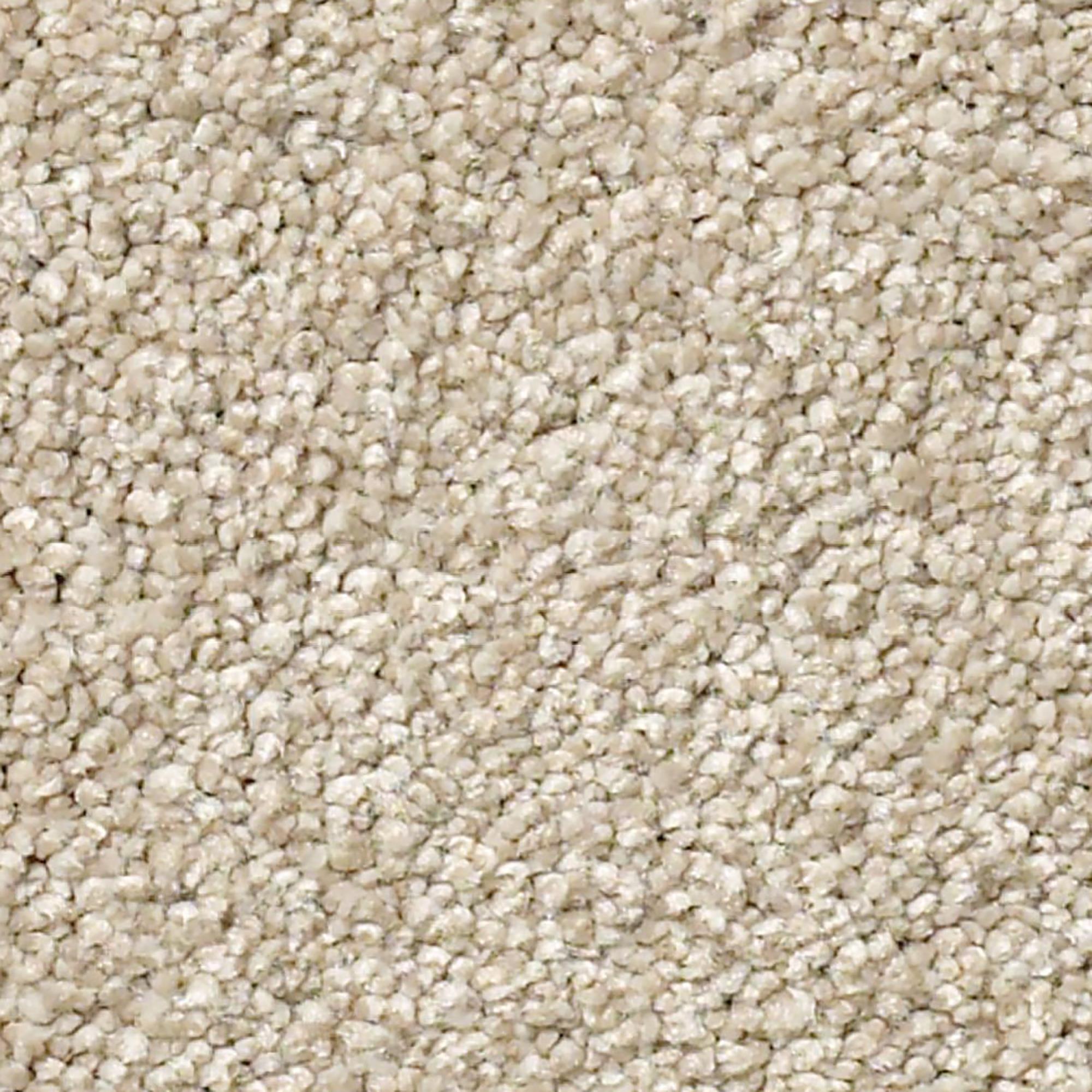 Shaw Find Your Comfort NS Blue Carpet in My Haven | NFM