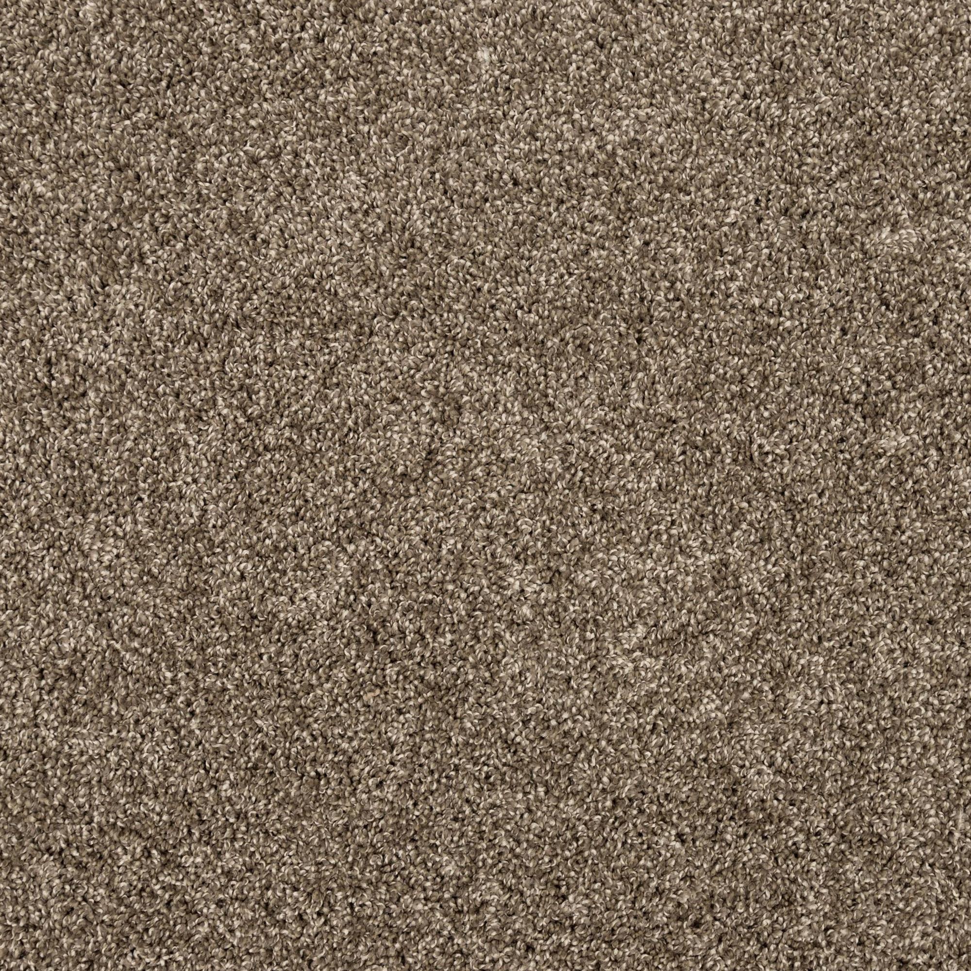 Mohawk Refined Retrievers II Carpet Legend