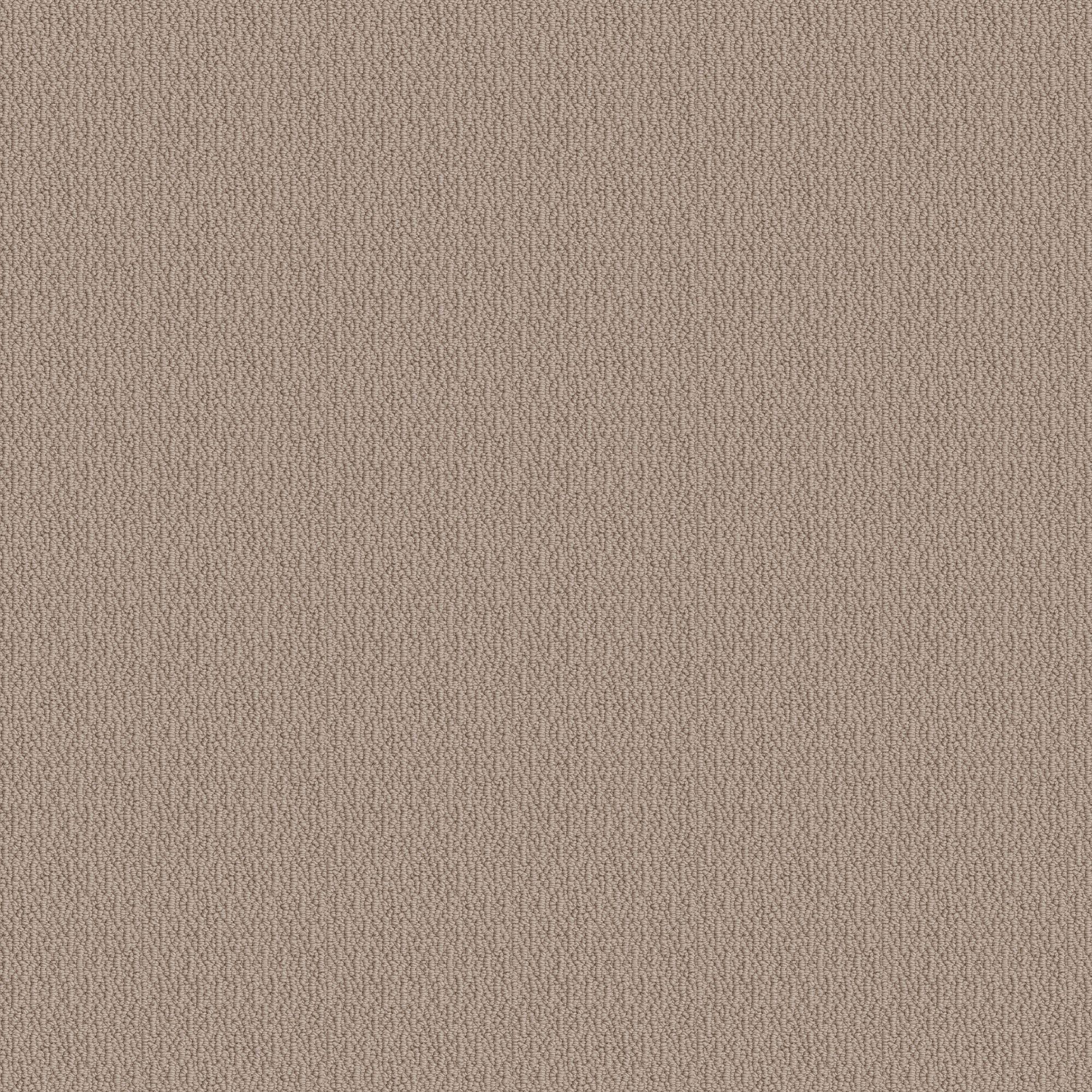 Shaw Loop De Loop Carpet in Pebble Path