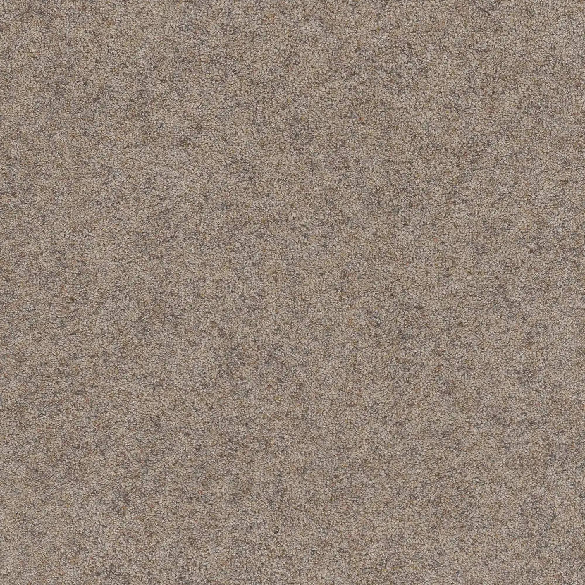 Dream Weaver Rustic Retreat II Carpet in Barn Light