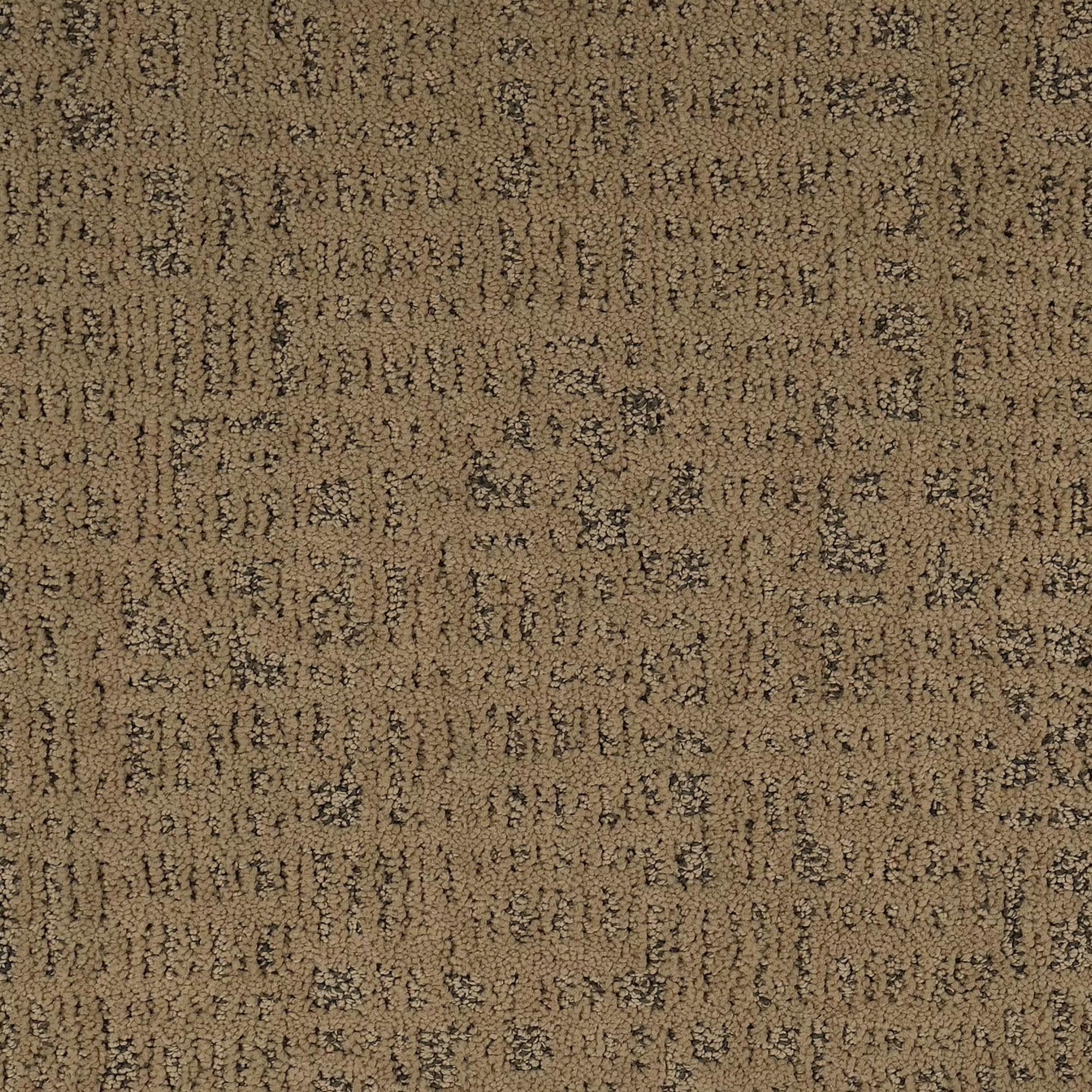 Mohawk Exquisite Portrait Carpet in Grande Oak