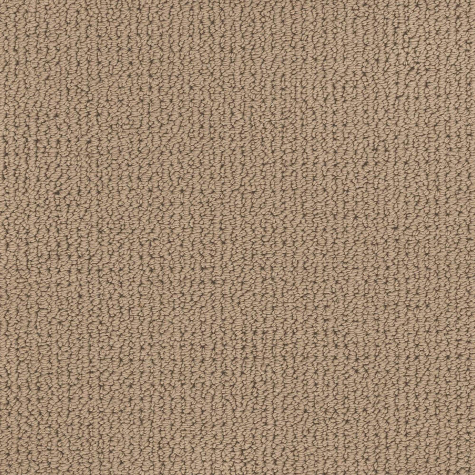 Karastan Infinite Treasure Carpet in Ancient Coin