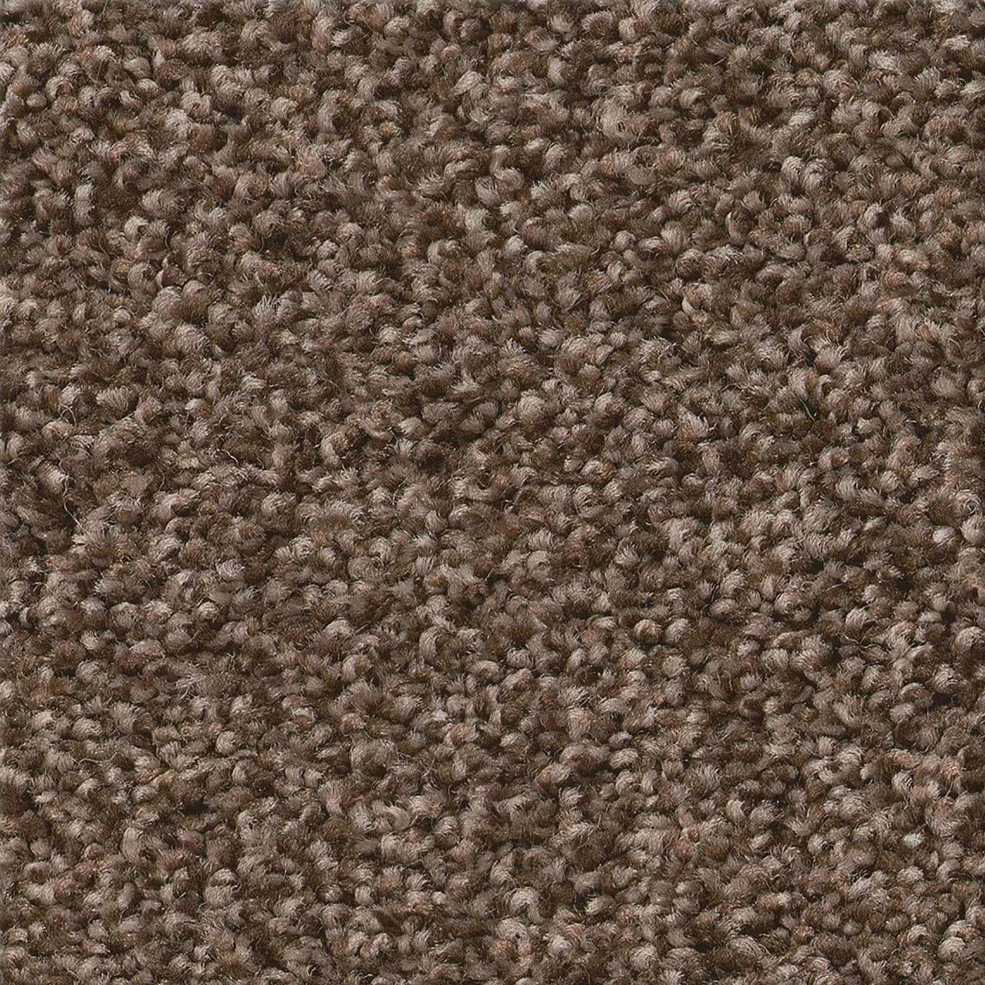 Shaw Tonal Comfort Blue Carpet in Cliff Hiking