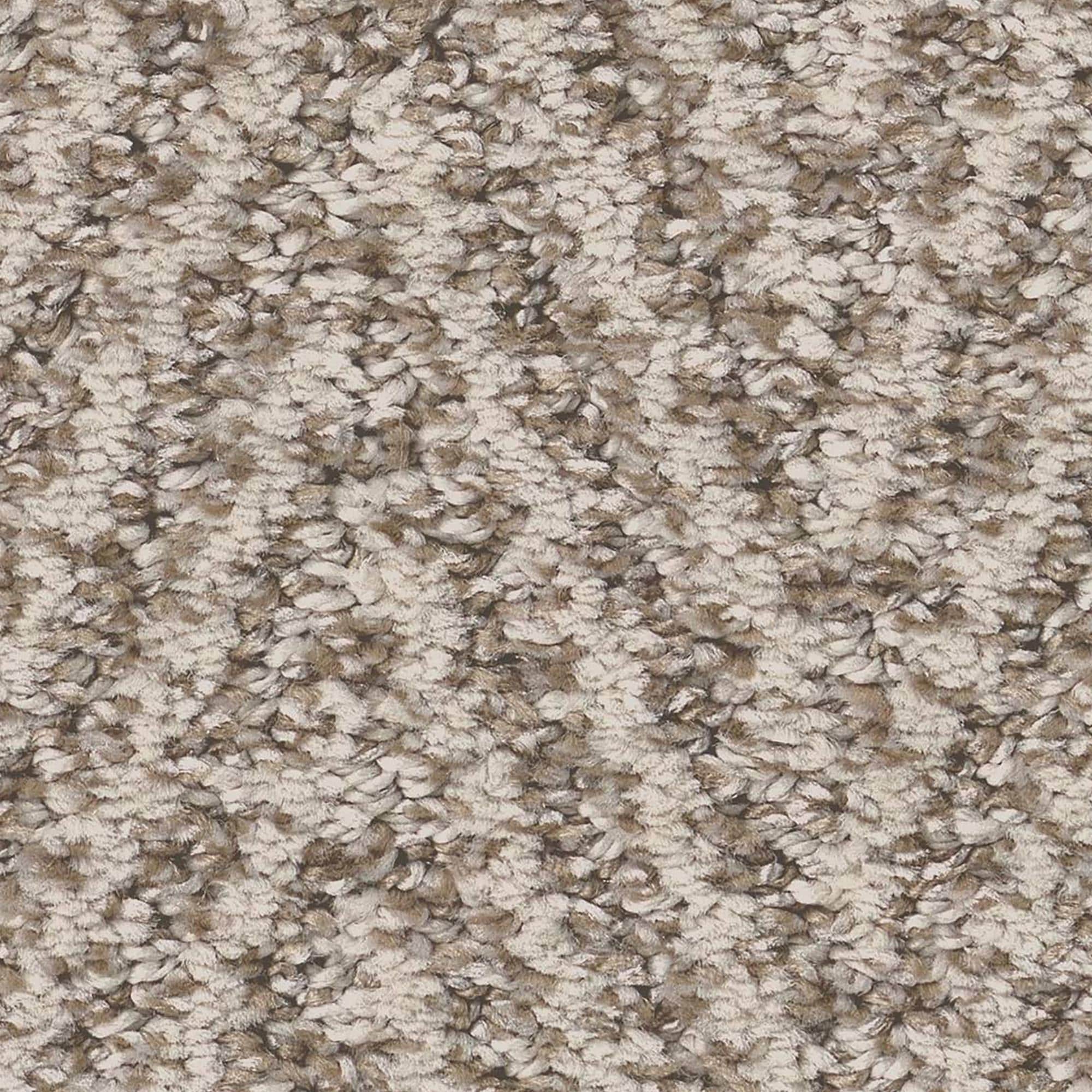 Anderson Tuftex Kit Carpet in Nomadic