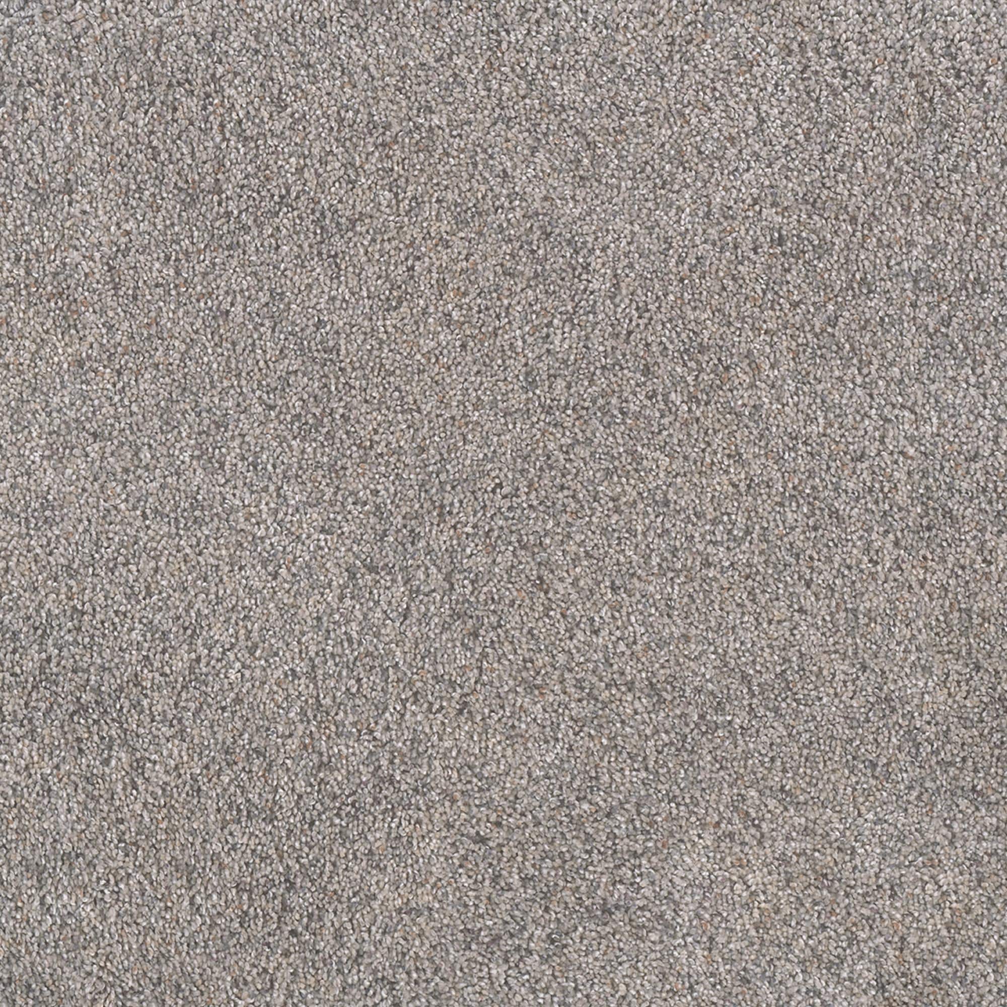 Dream Weaver Rustic Retreat II Carpet in Sweet Magnolia