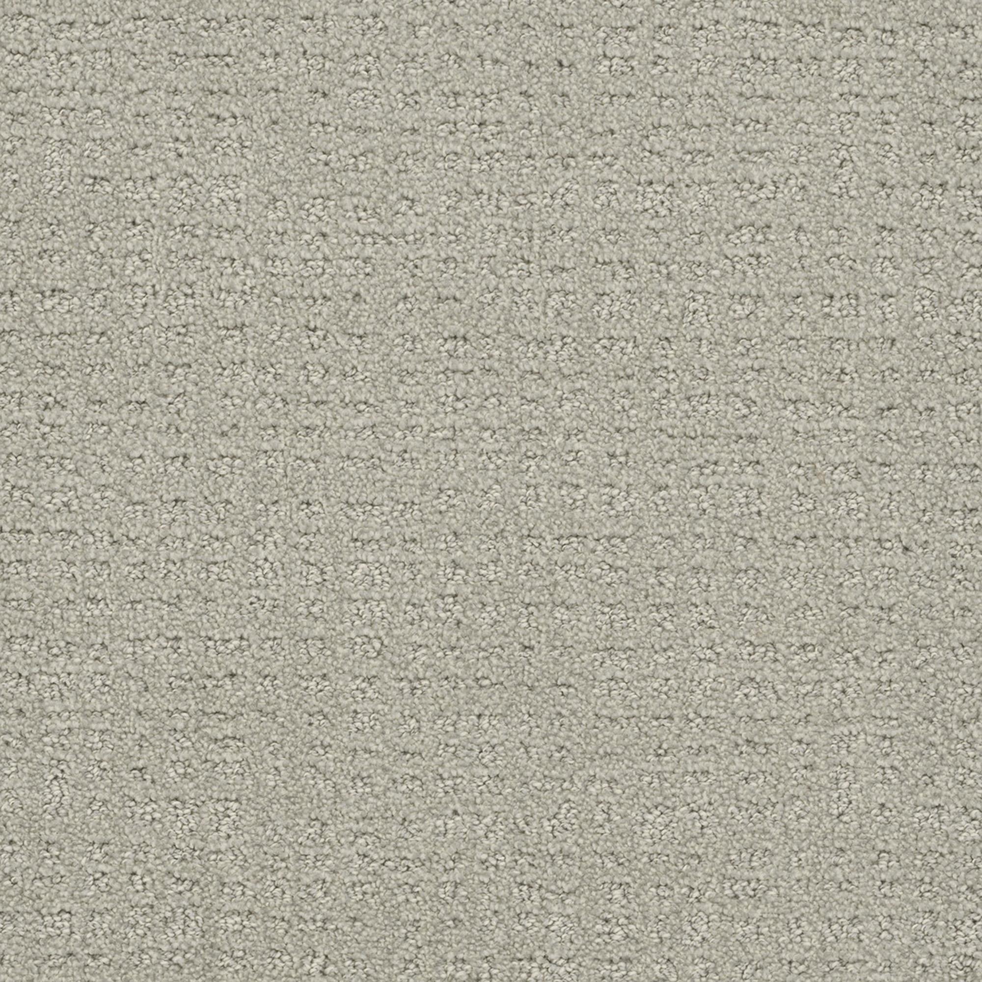 Dream Weaver Common Ground Carpet in Snowcap