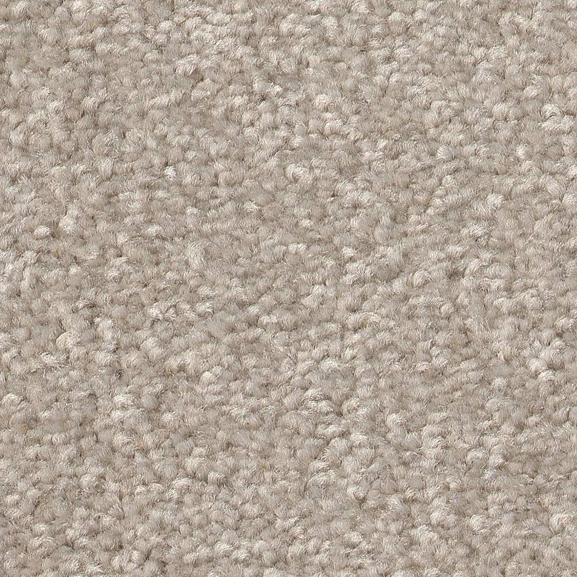 Shaw Hard At Play II Carpet in Soft Sense