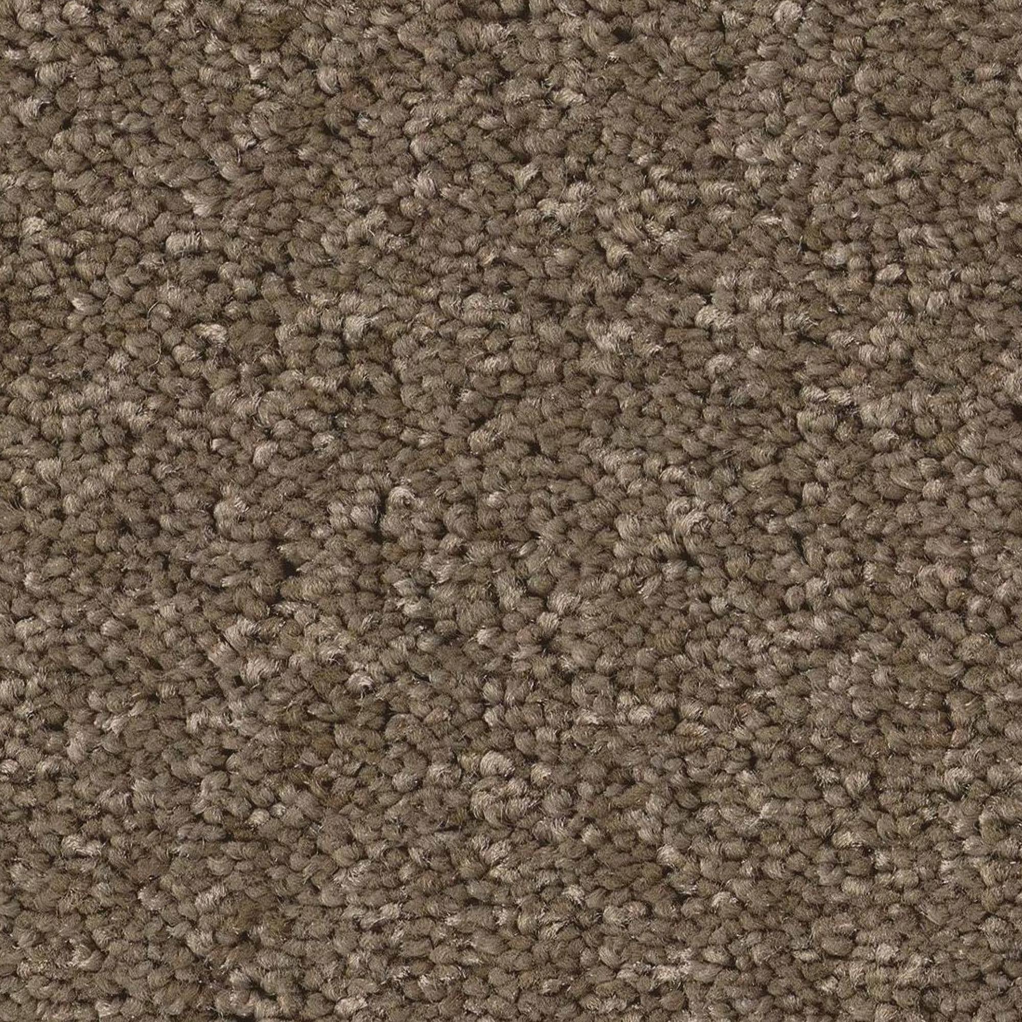 Anderson Tuftex Enchanting Carpet in Carafe | NFM