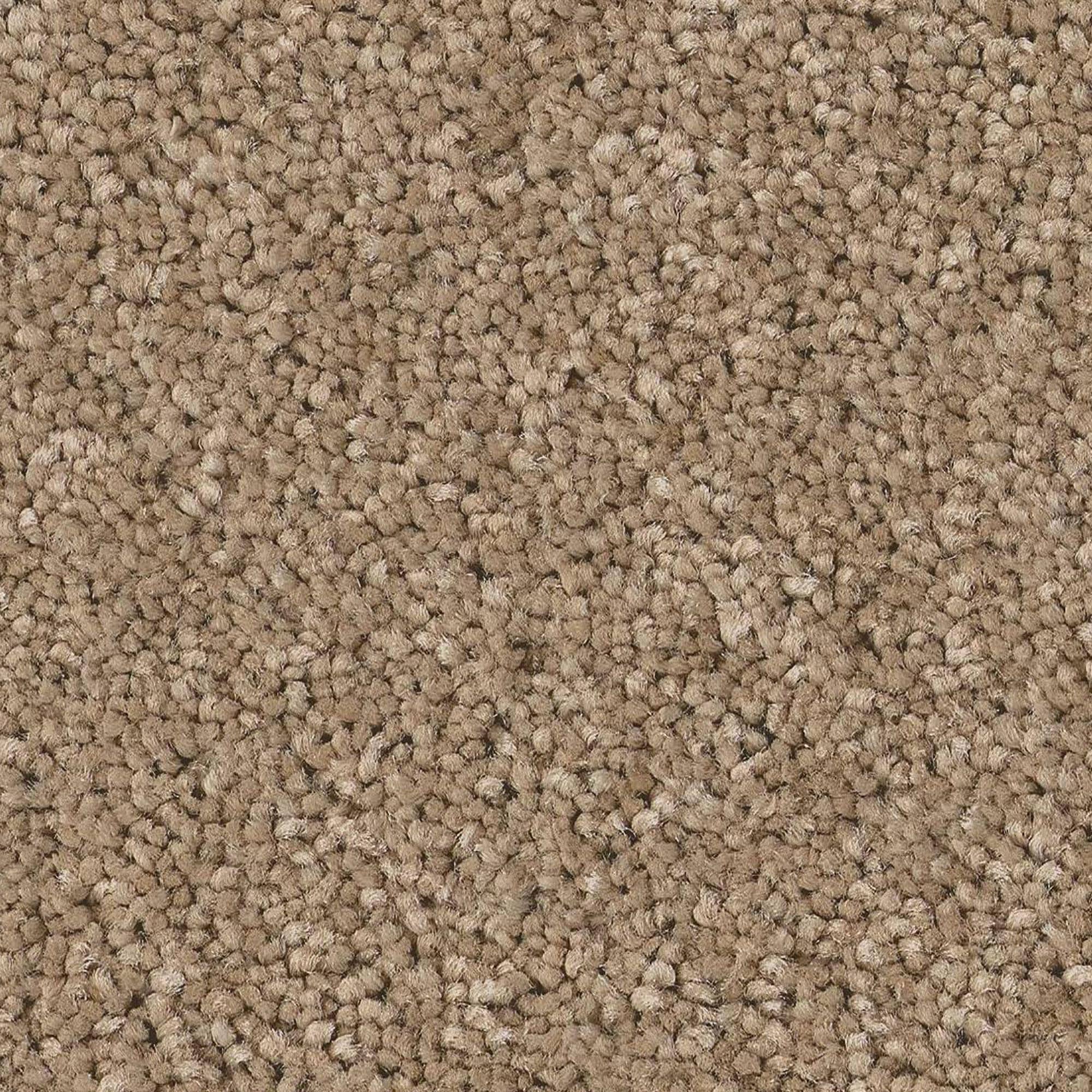 Anderson Tuftex Enchanting Carpet in Biscotti