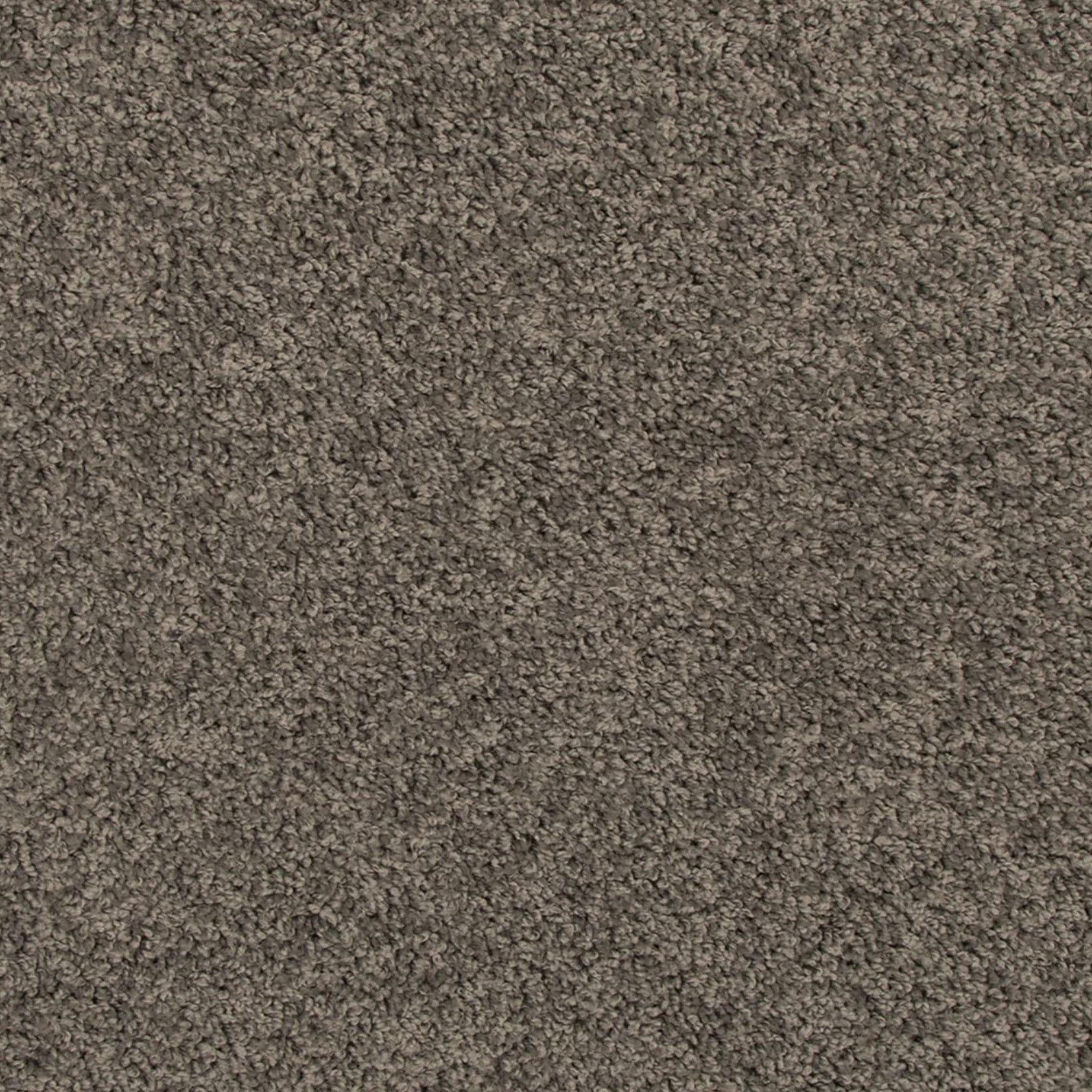 Mohawk Revive Carpet in Pewter