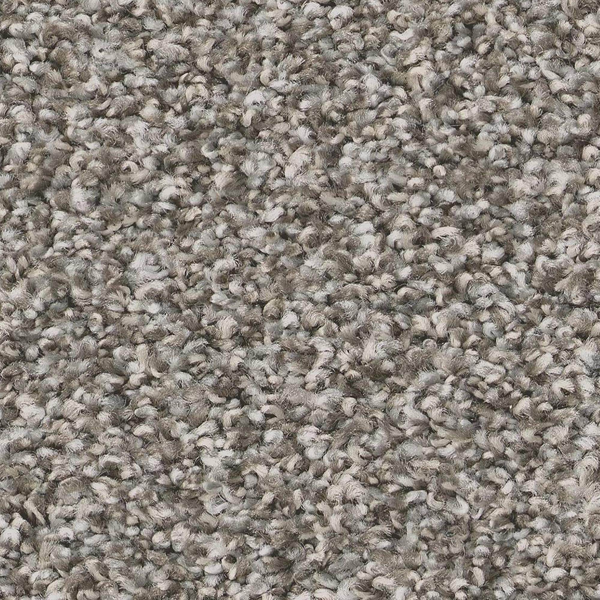 Shaw Tweed Comfort I Carpet in Island Tour