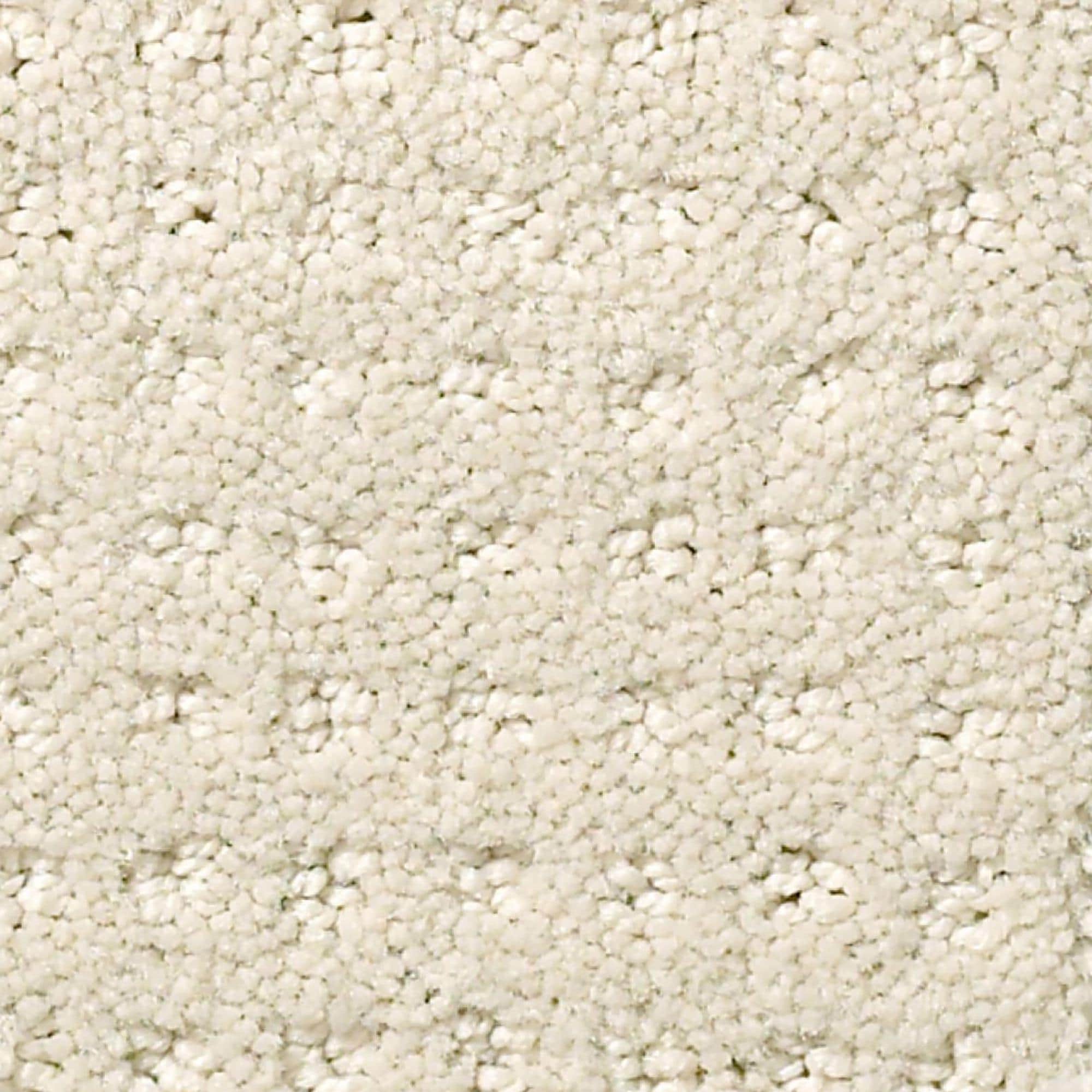 Shaw Alluring Disposition Carpet in Alabaster