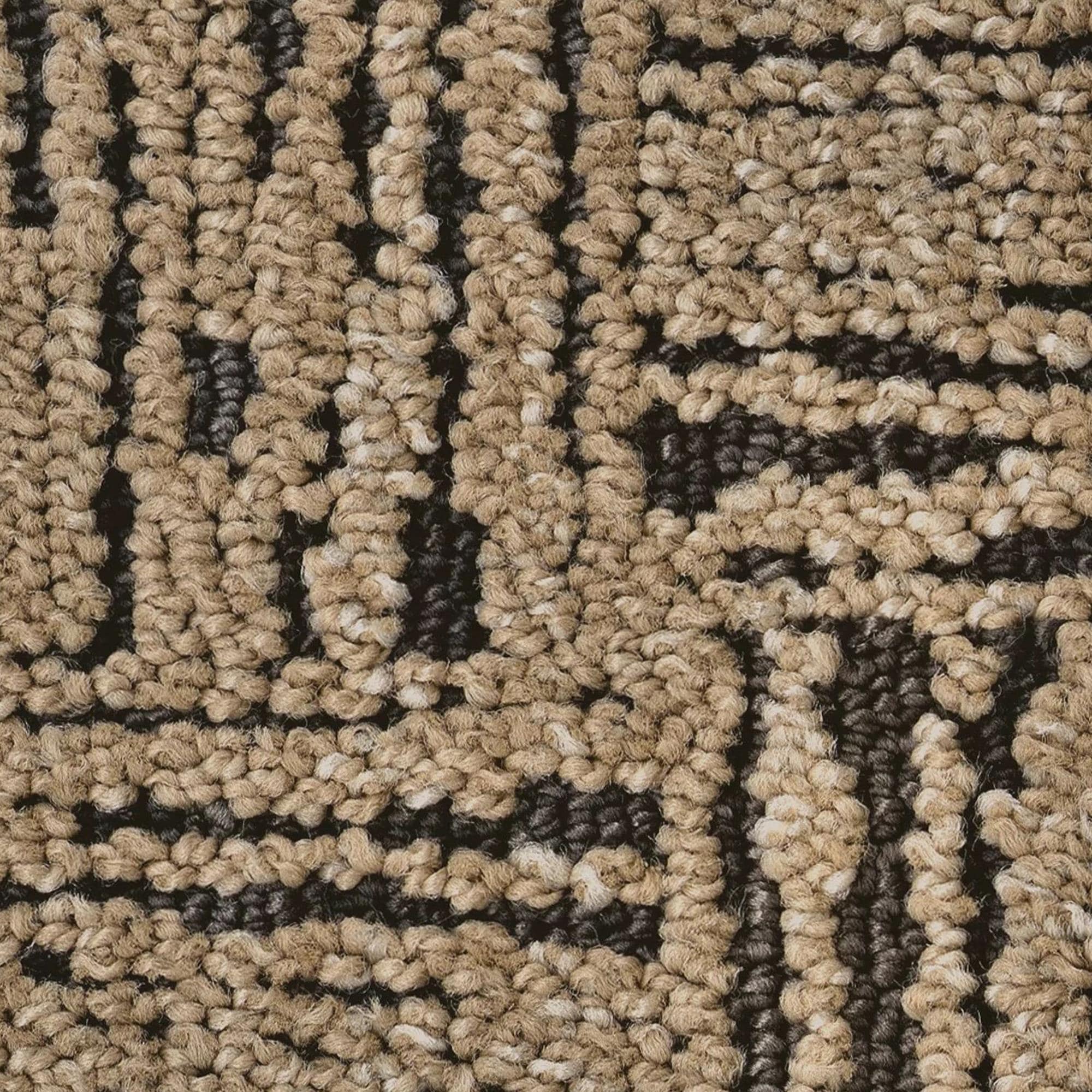 Anderson Tuftex Moderne Carpet in Palace