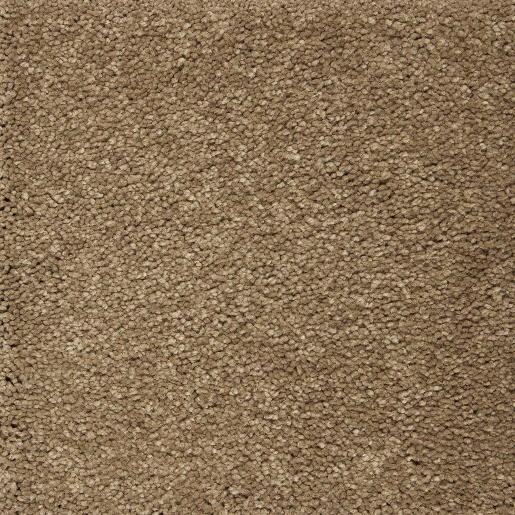 Mohawk Pleasant Touch Carpet in Leather Satchel