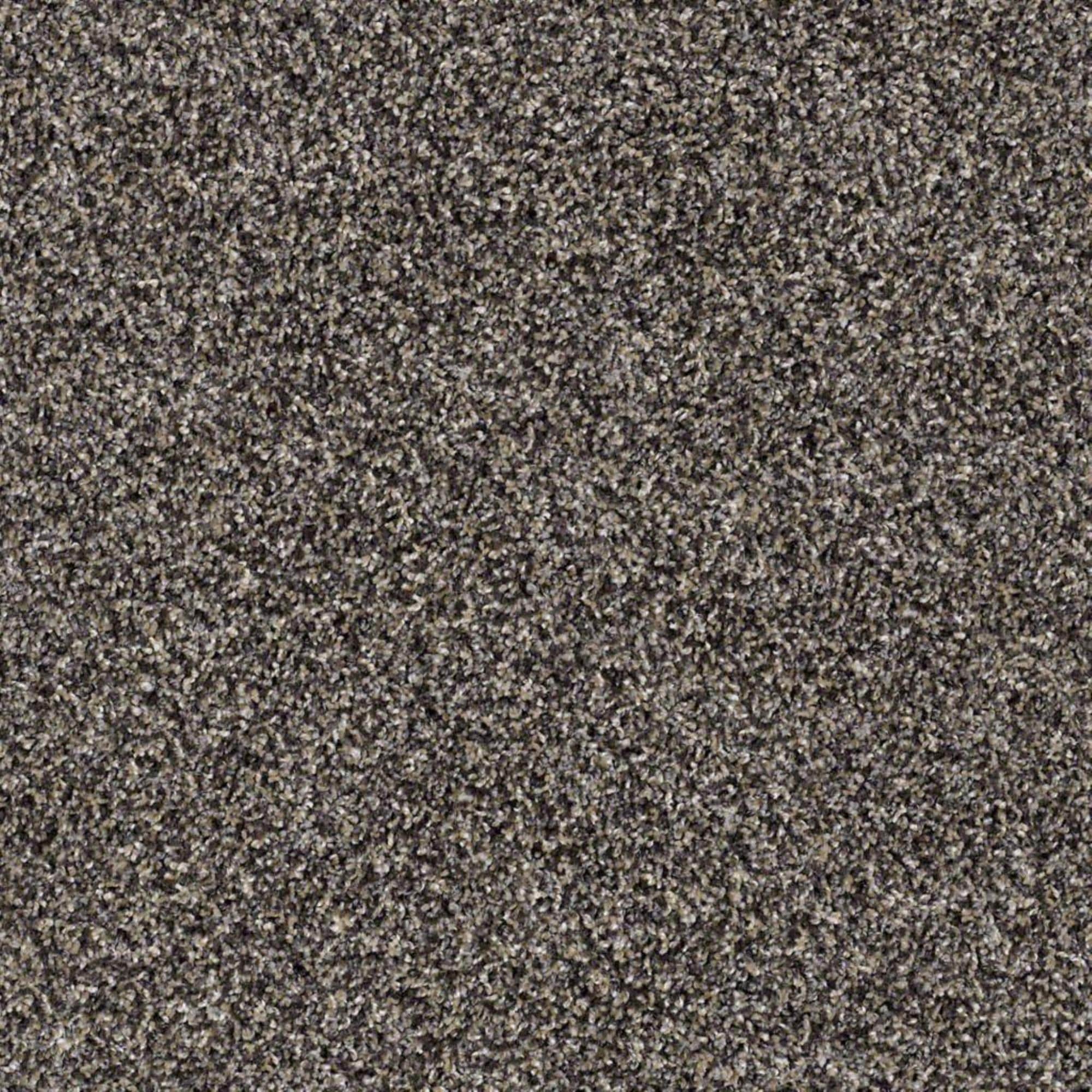 Shaw Frosting Carpet in Goal Post
