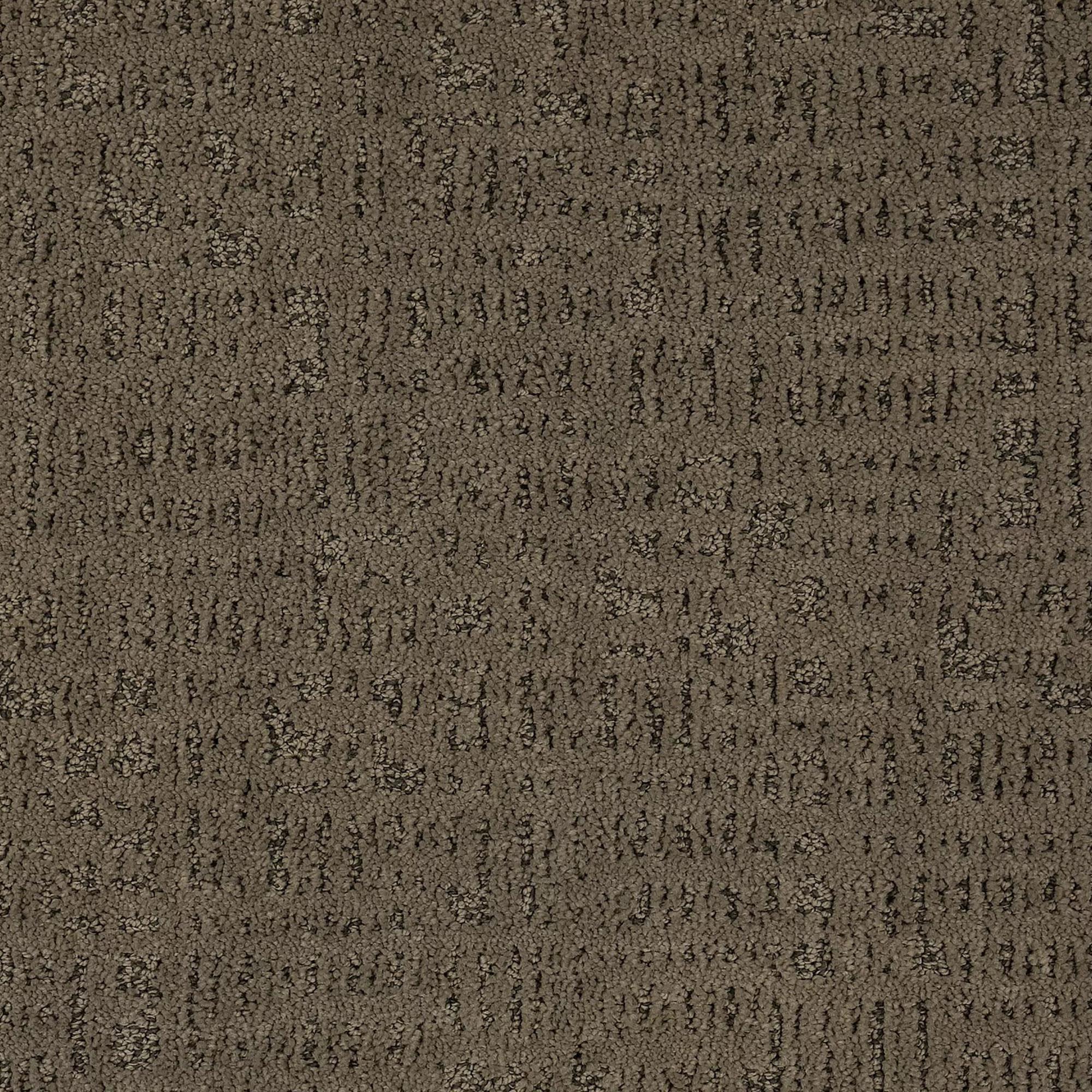 Mohawk Exquisite Portrait Carpet in Filtered Smoke