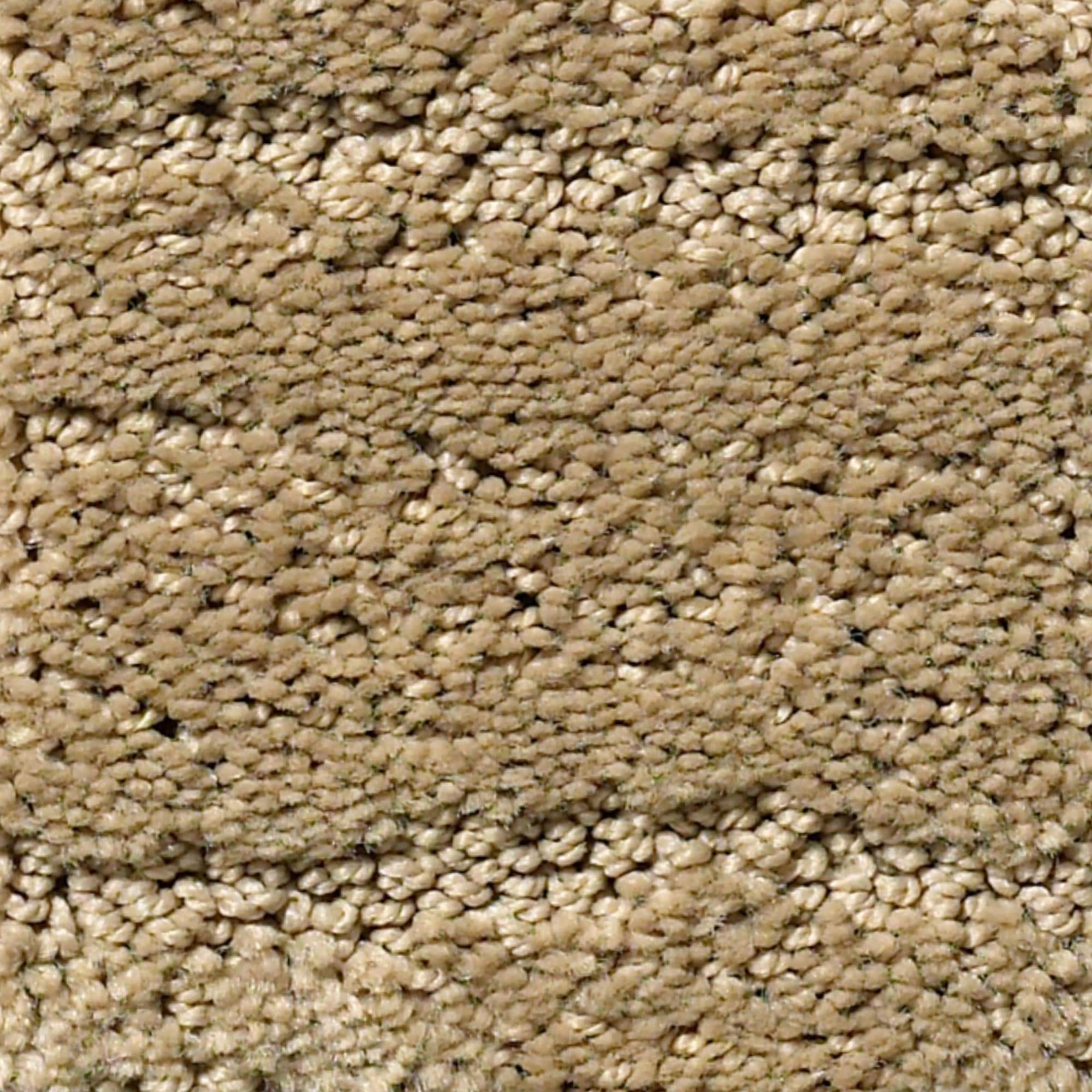 Anderson Tuftex Matisse Carpet in Folklore