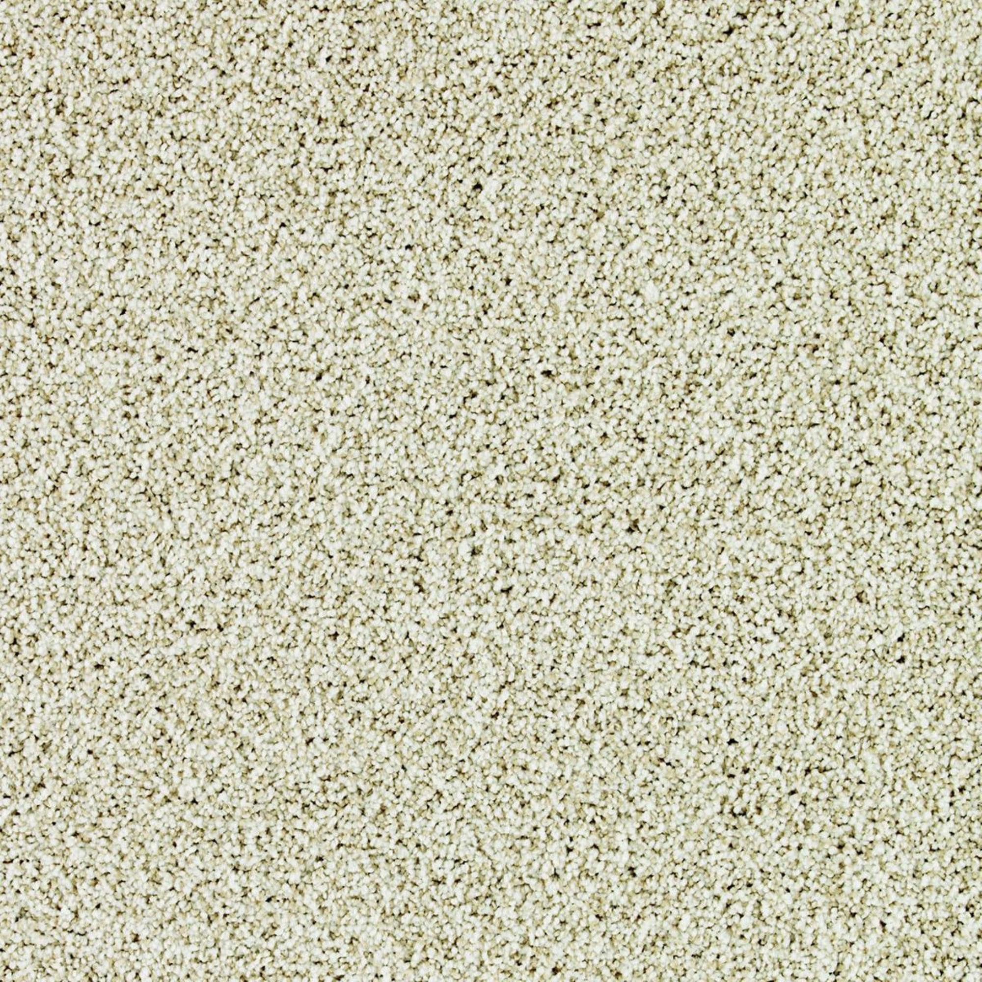 Karastan Dover Coast Carpet in Ancestral