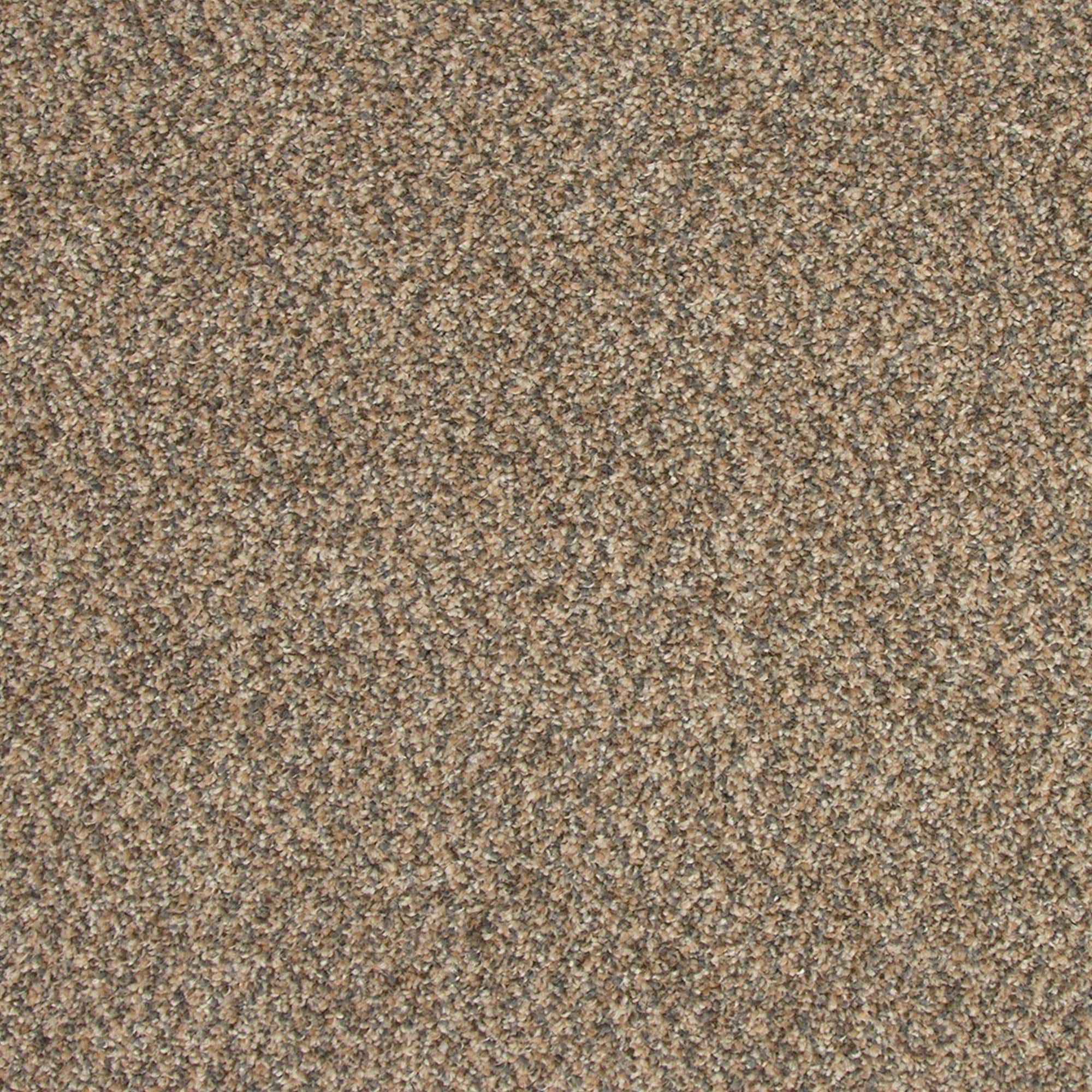 Mohawk Sand in Your Toes Carpet Intrigue