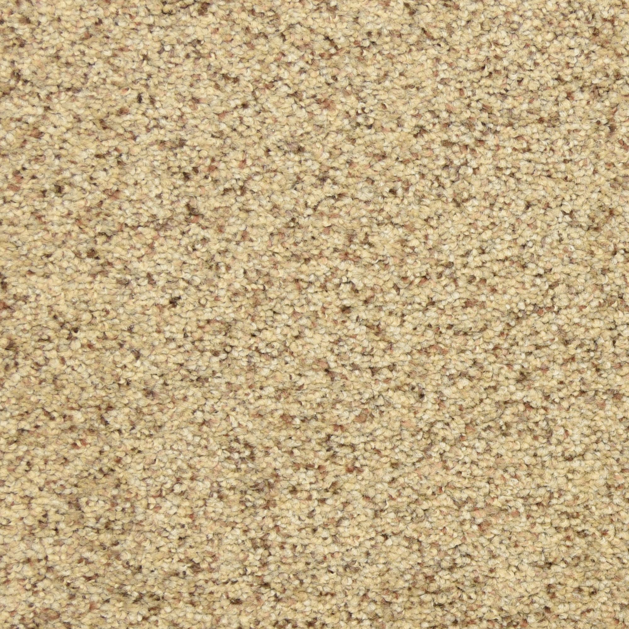 Dixie Home Debut Carpet in Oatmeal Raisin