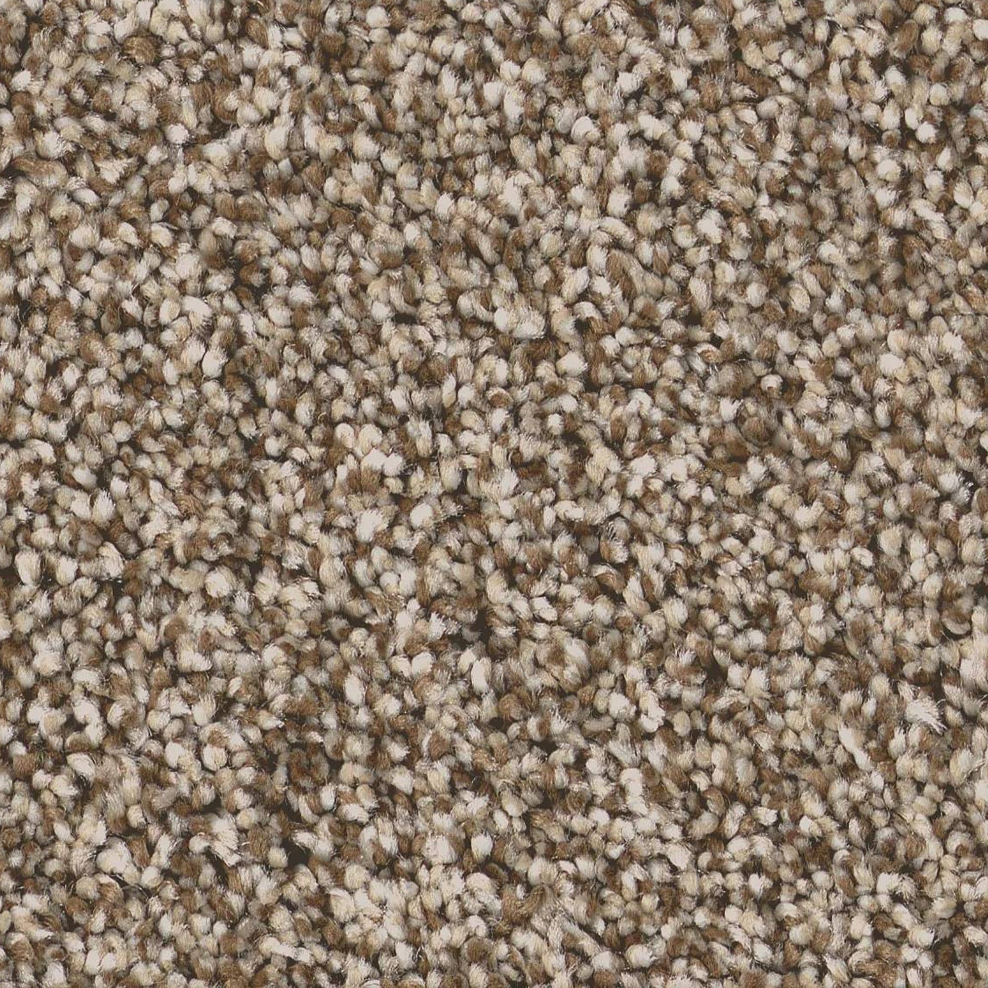 Shaw Artistic Fusion II Carpet in Cameo