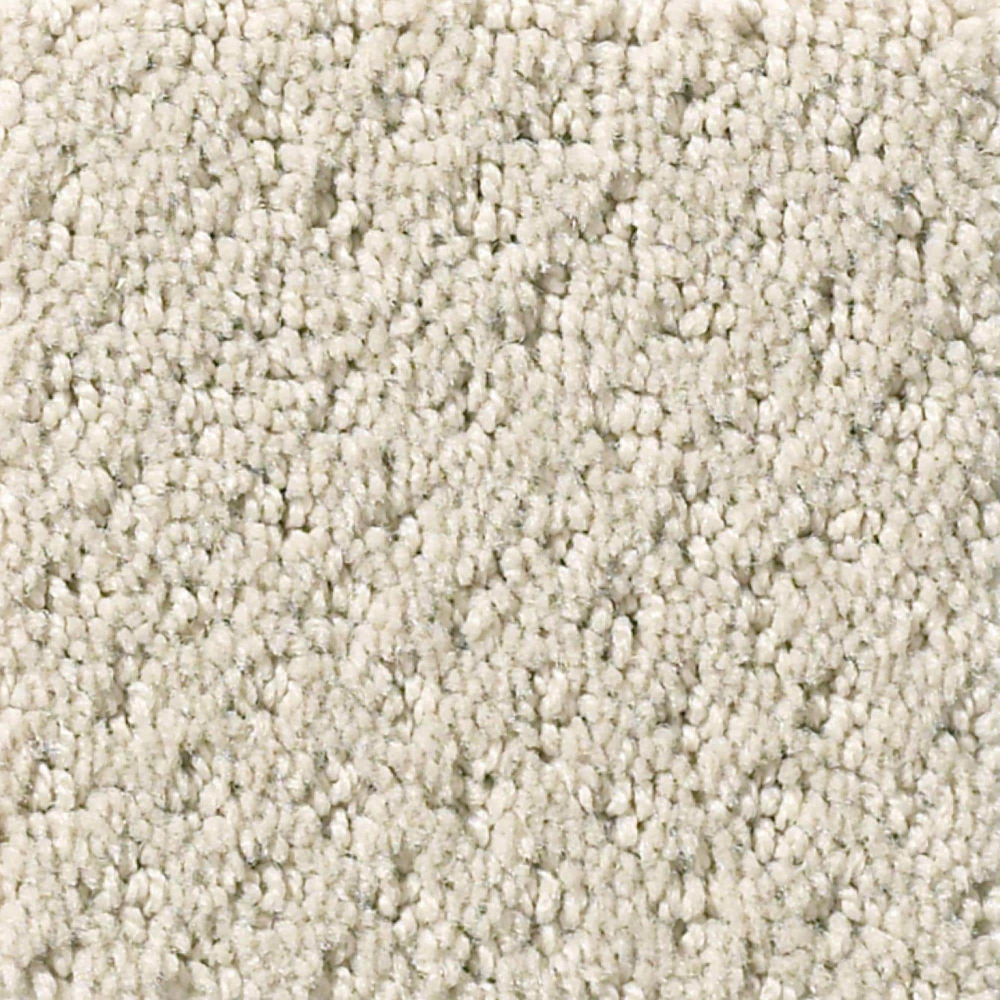 Shaw Foundations Infallible Instinct Carpet in Quiet Moment
