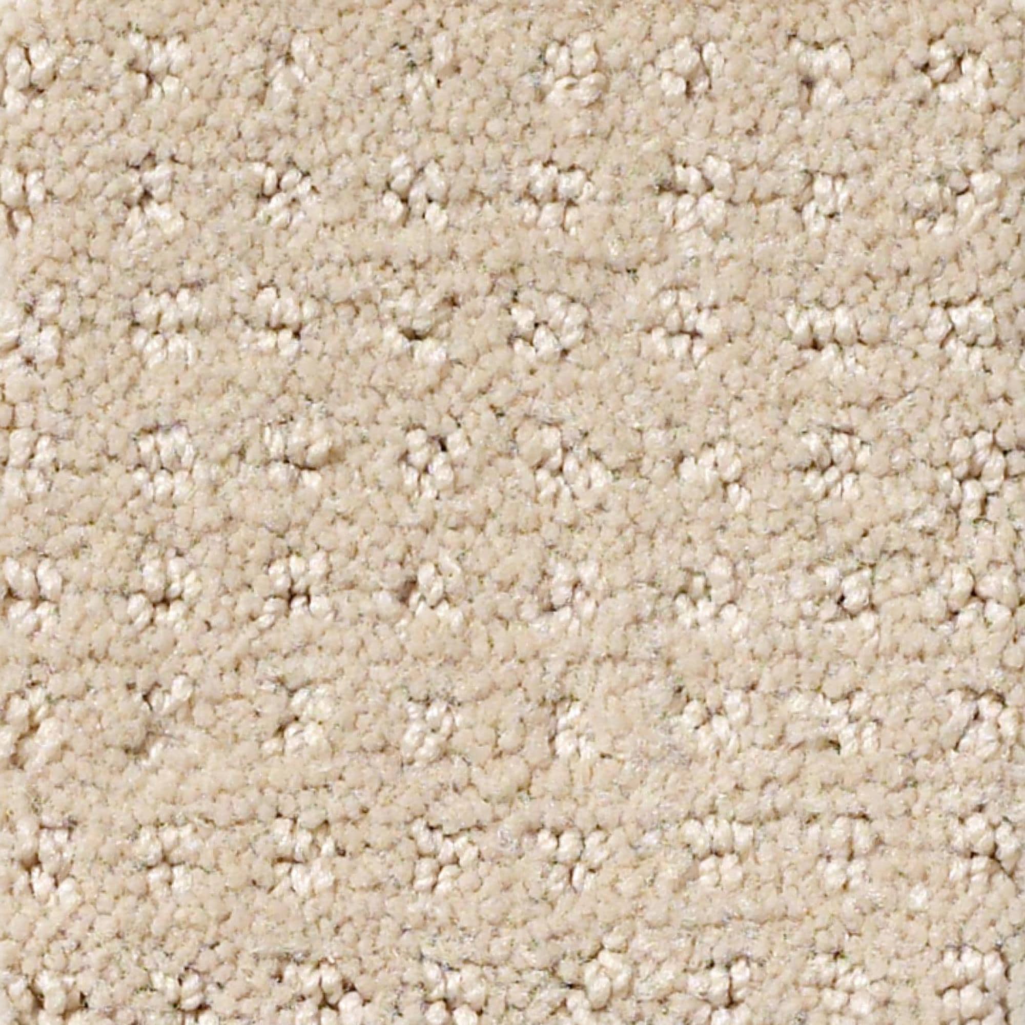 Shaw Detailed Elegance Patterned Carpet in Bare Essence