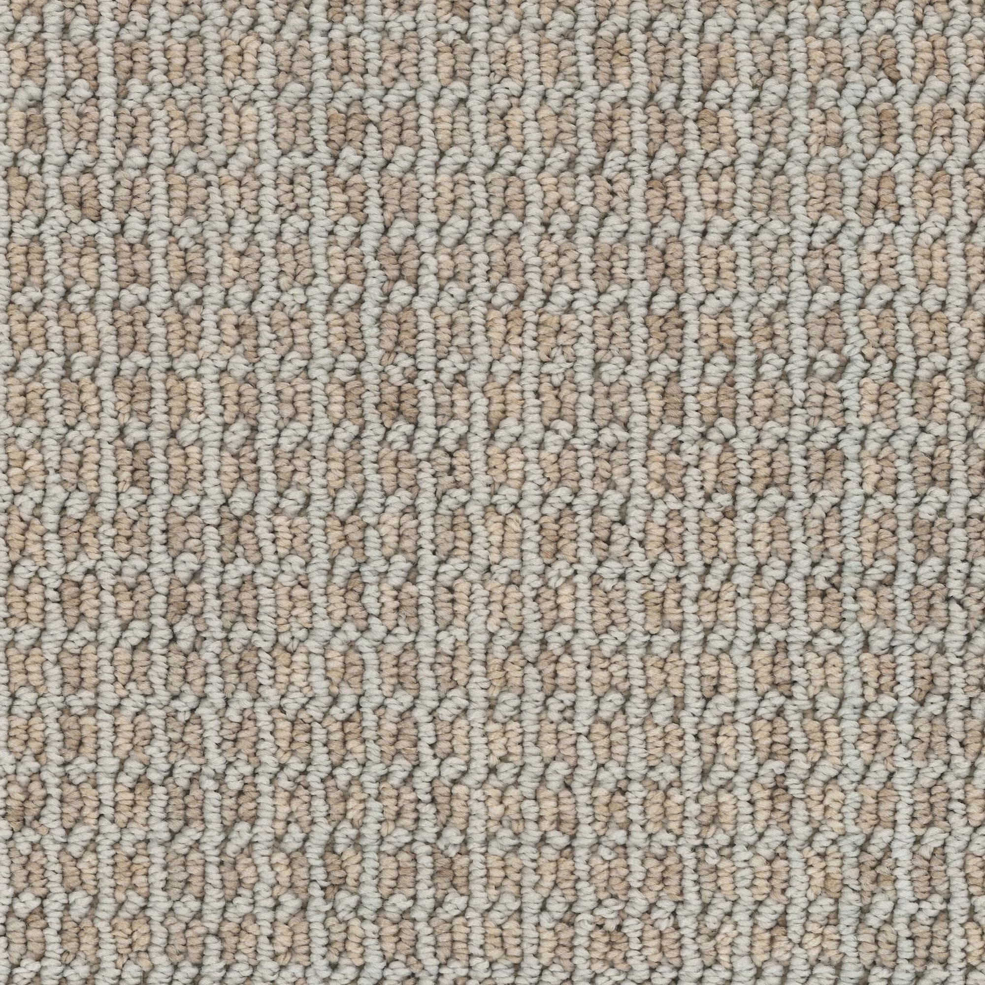 Dixie Home Oasis Carpet in Stone | Shop NFM